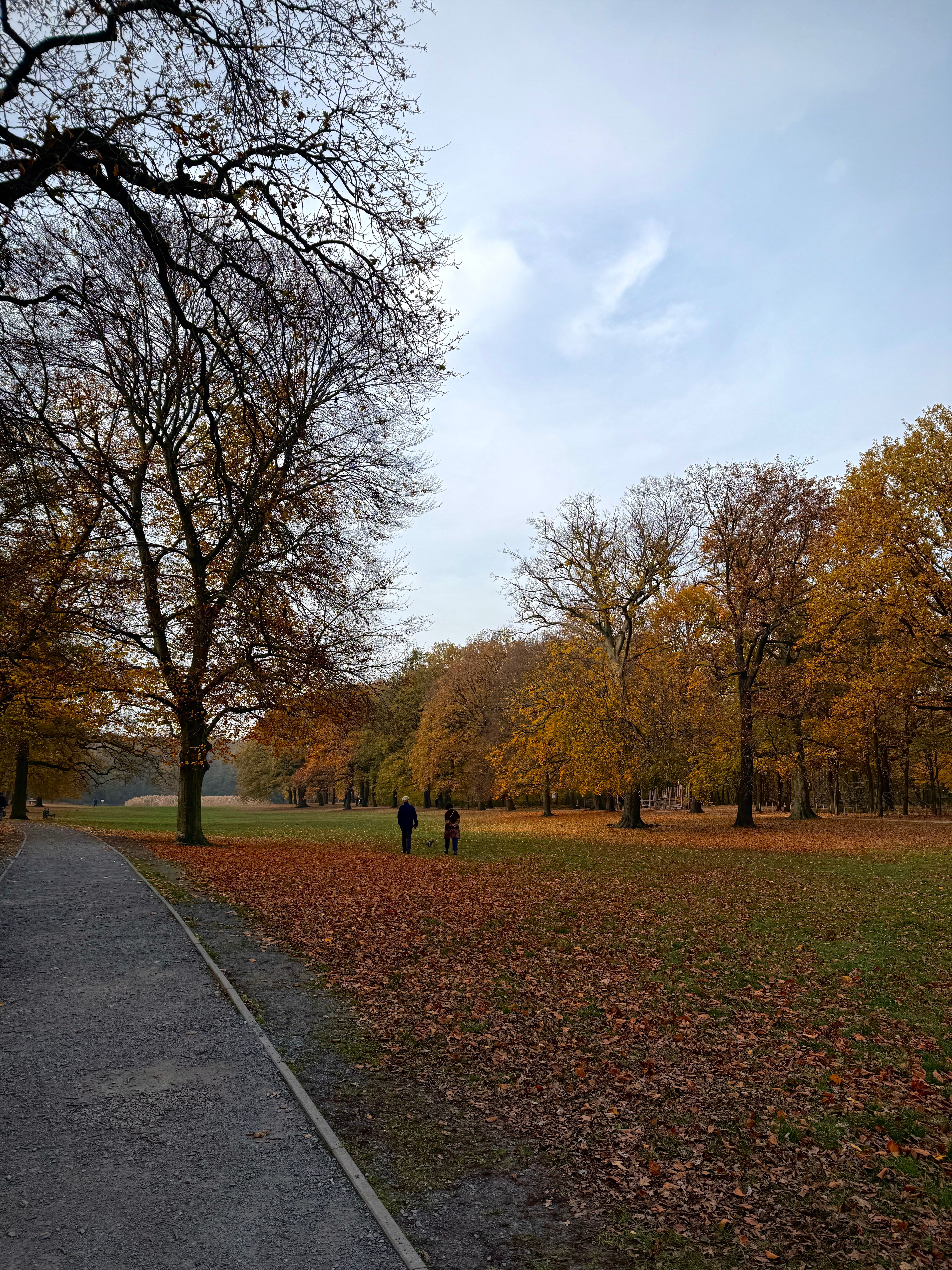 Photography of a Park · Free Stock Photo