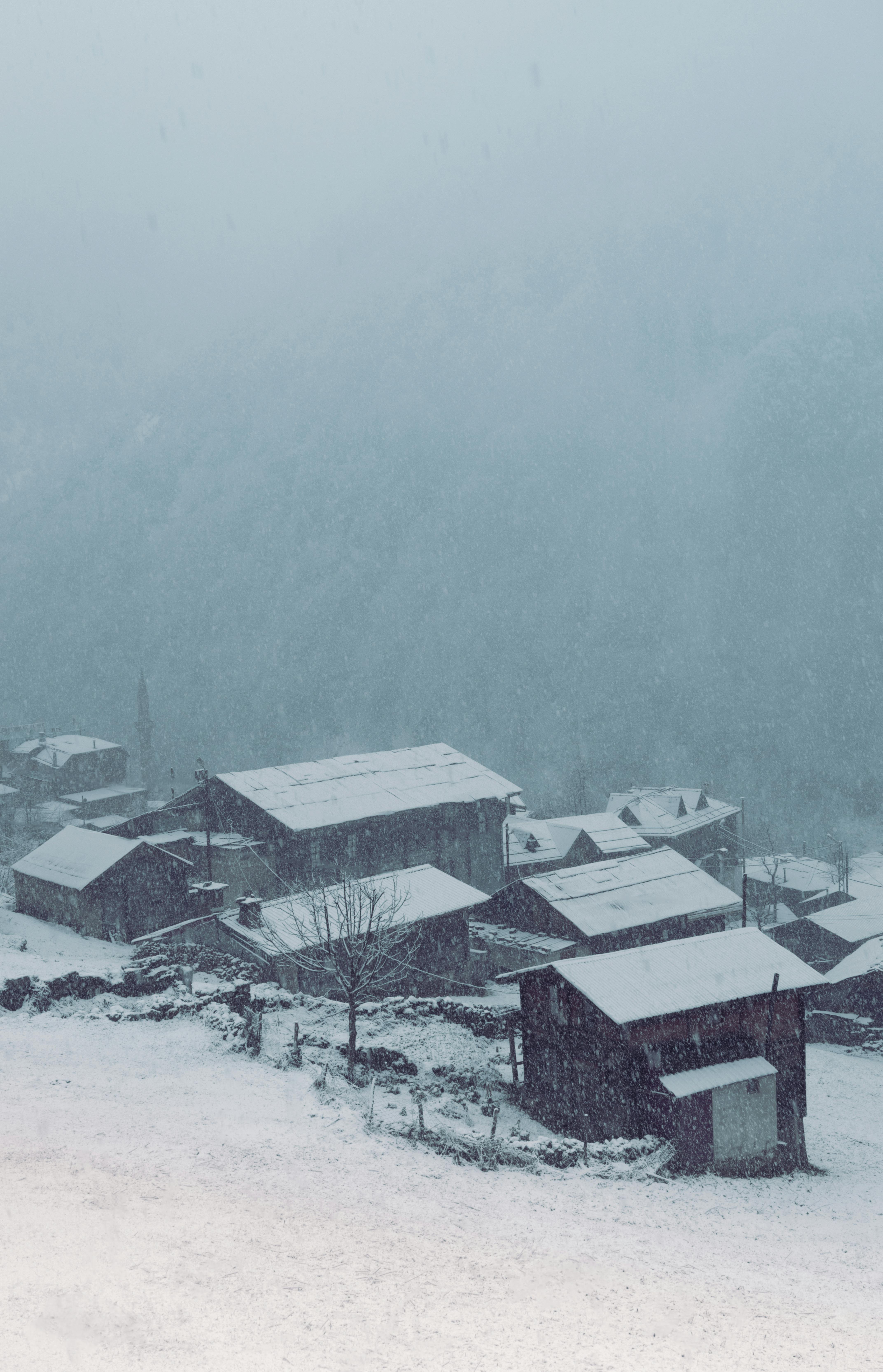 Snowy Rural Village Scene in Winter · Free Stock Photo
