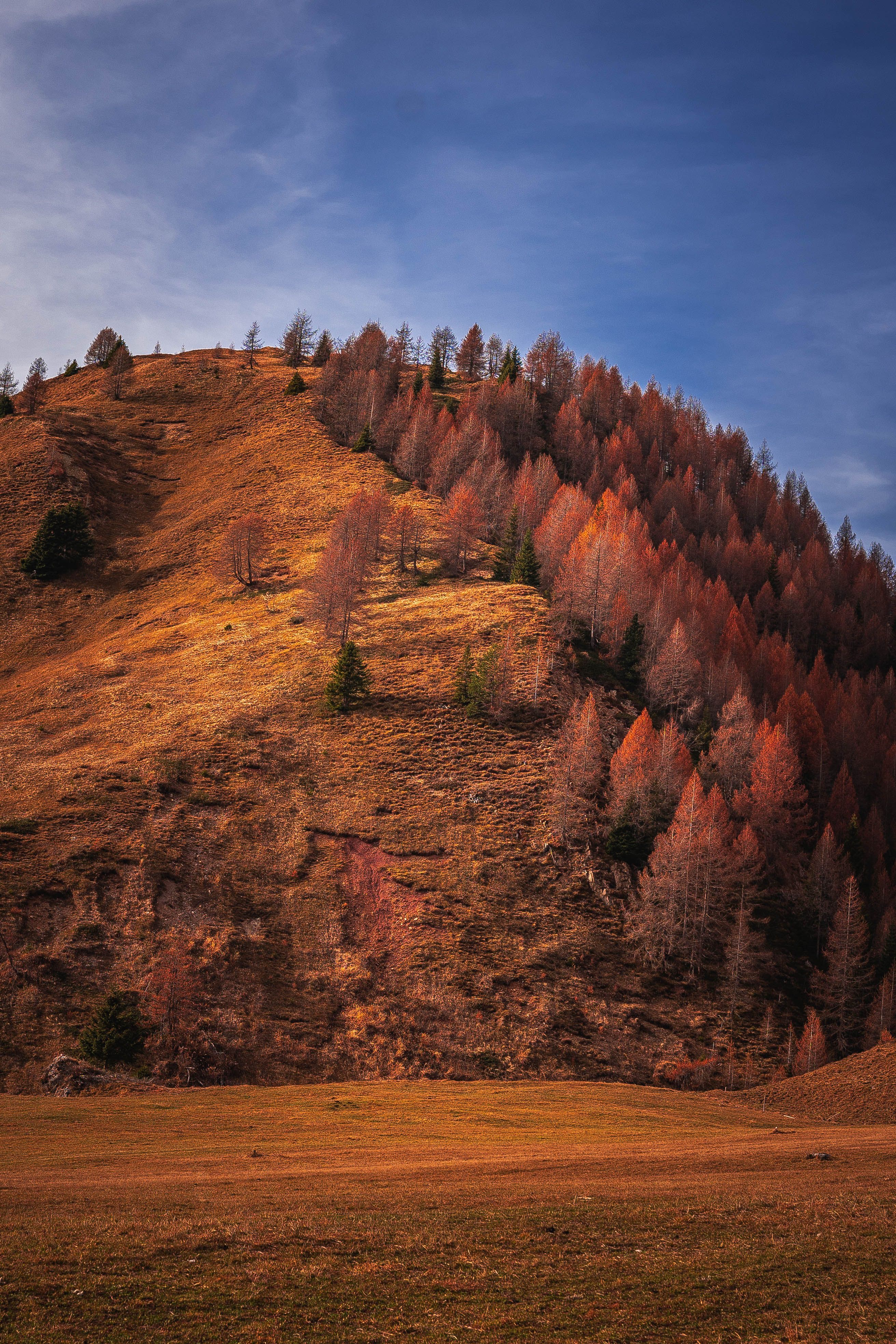 Autumn Landscape with Vibrant Hillside · Free Stock Photo