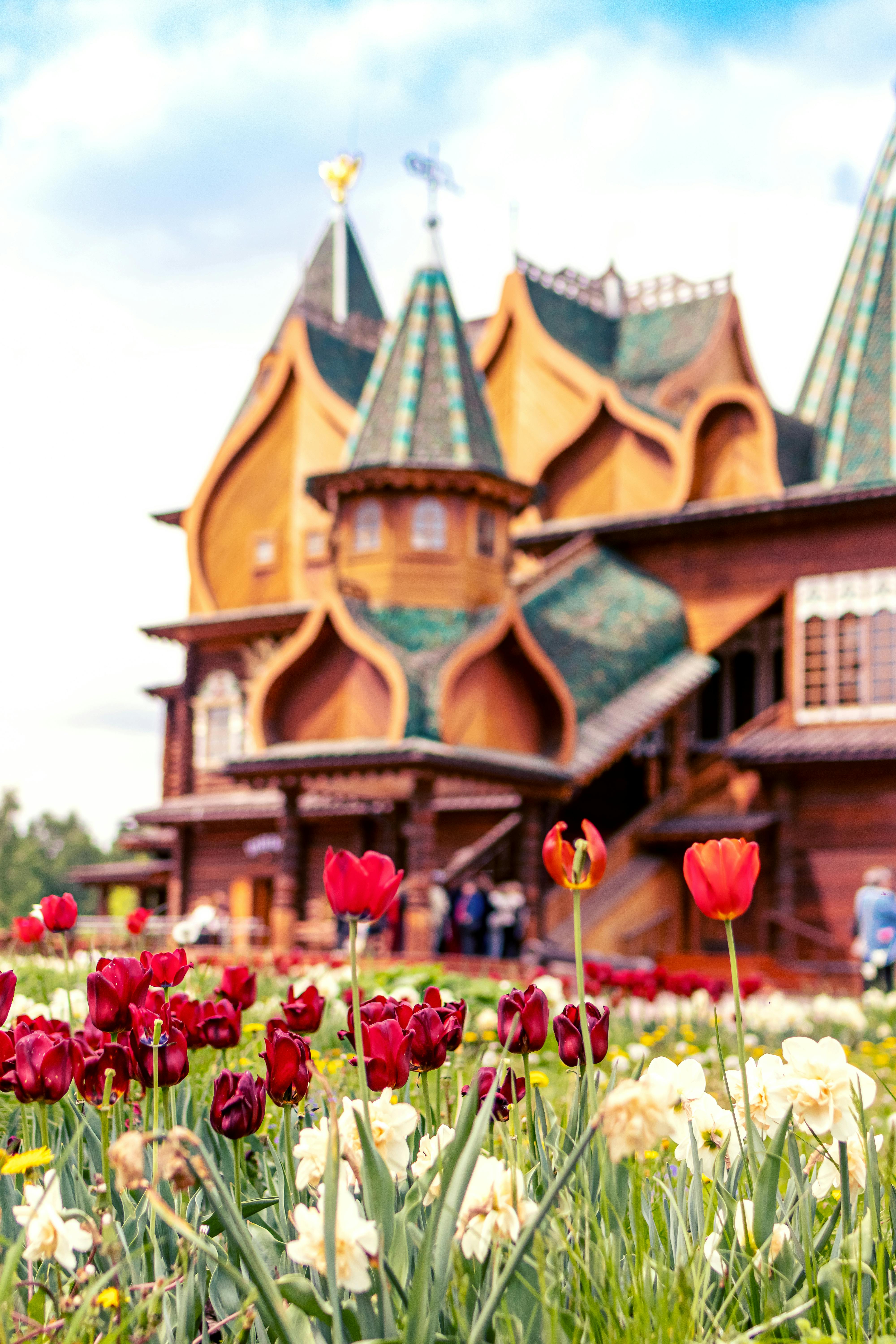 1000+ Interesting Colorful Photos · Pexels · Free Stock Photos