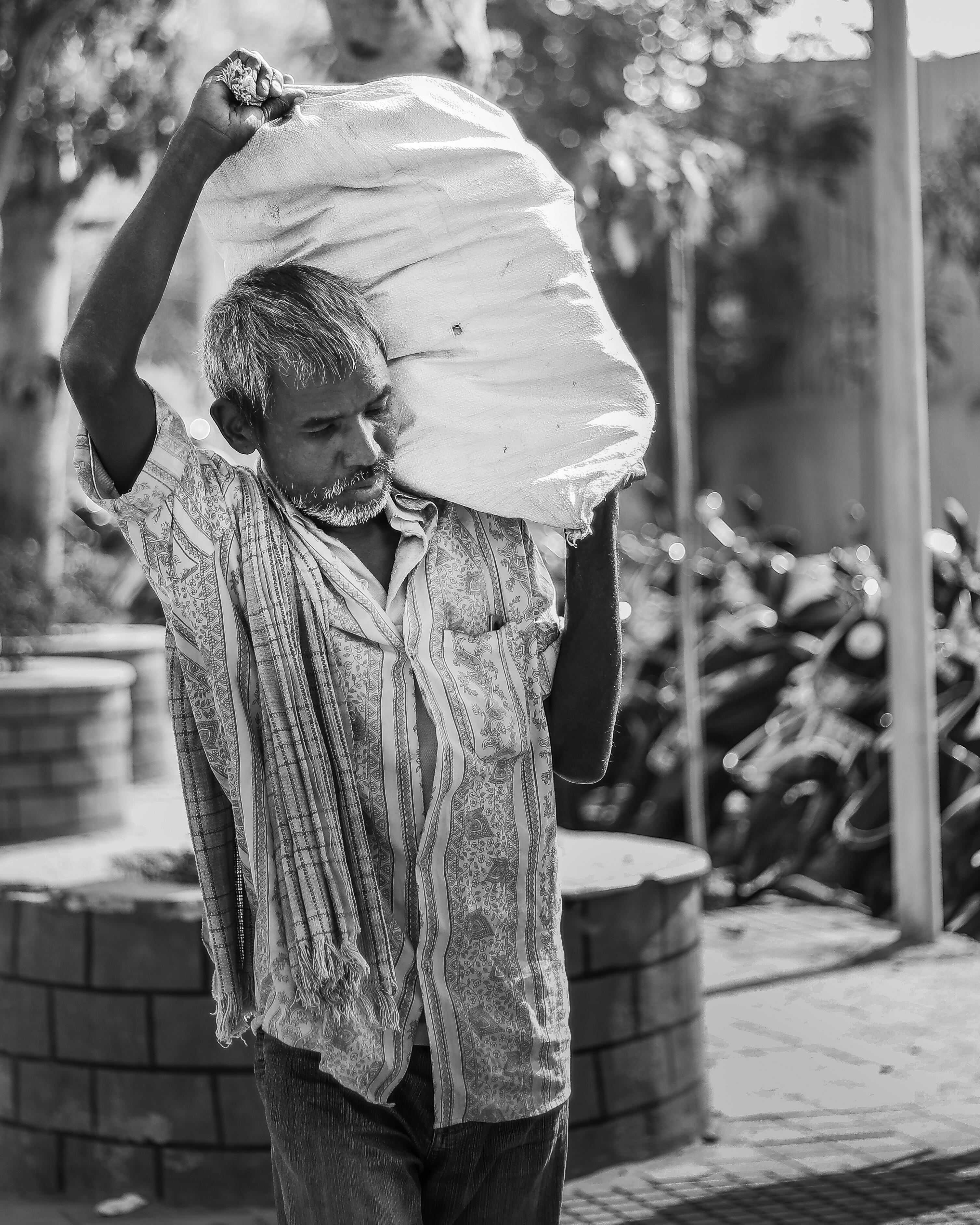 Harry Task Photos, Download The BEST Free Harry Task Stock Photos & HD ...