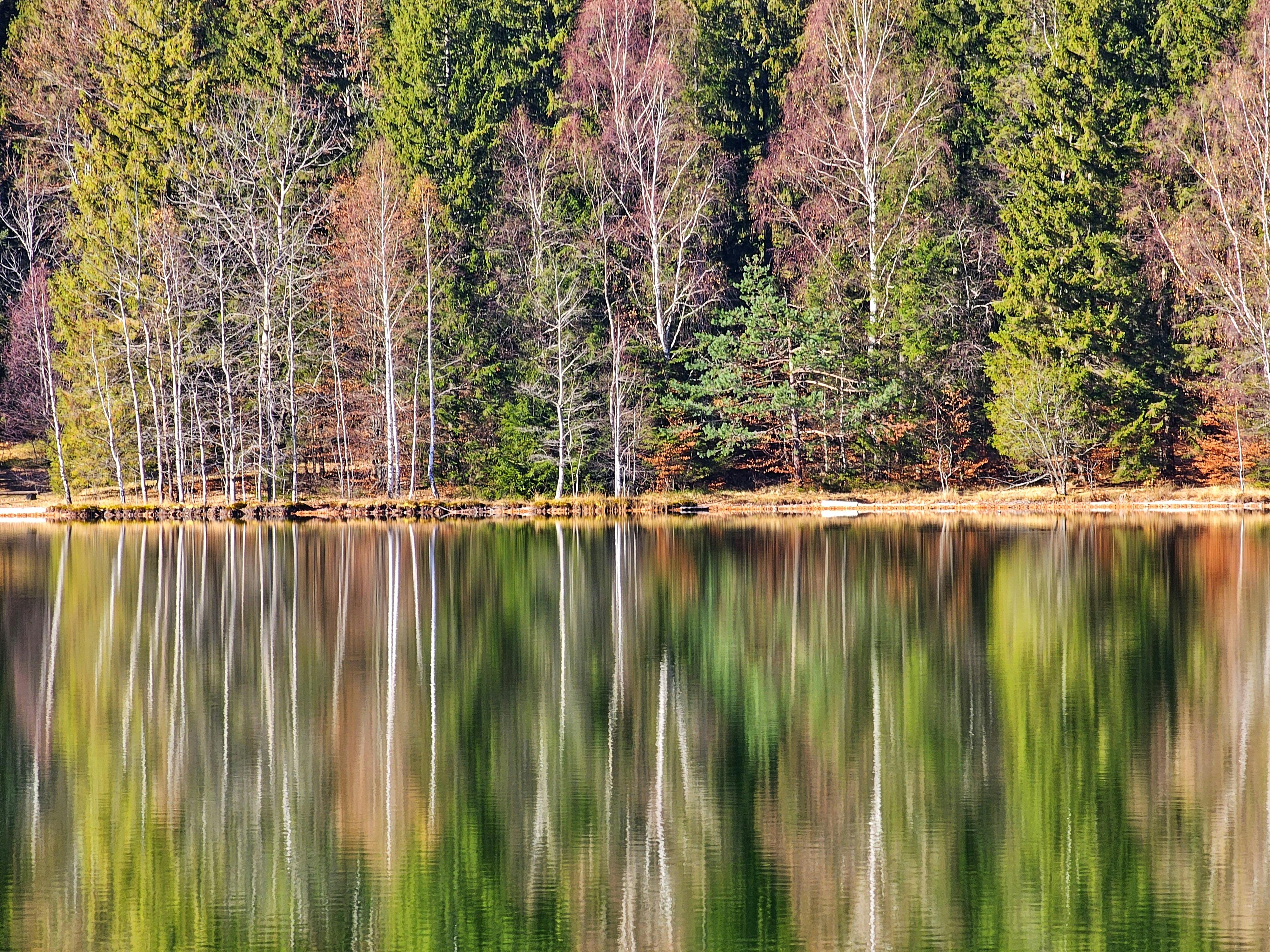 Tornaterem Lac Photos, Download The BEST Free Tornaterem Lac Stock Photos & HD Images