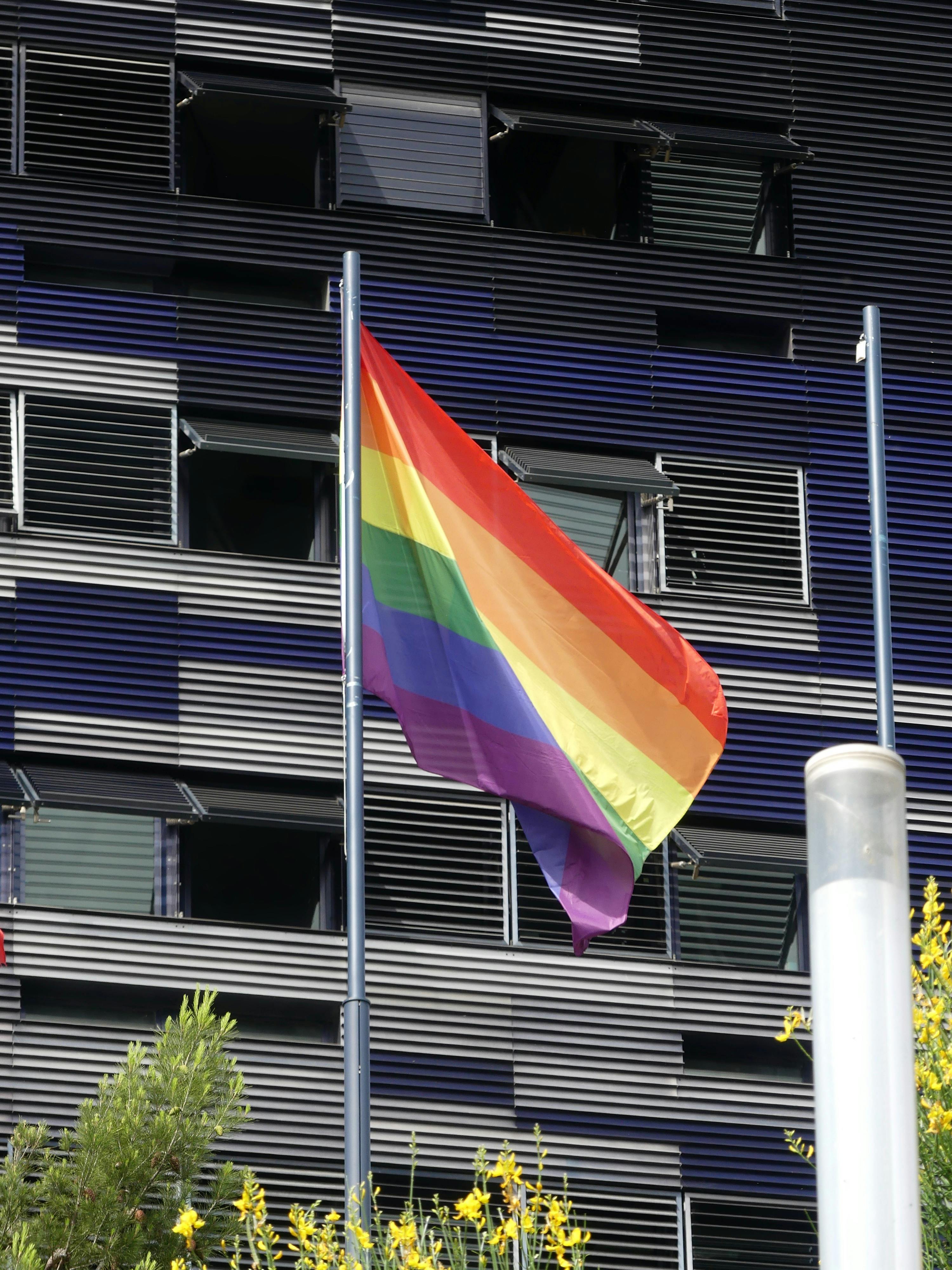 Rainbow Flag at Montpellier City Hall Emblem · Free Stock Photo