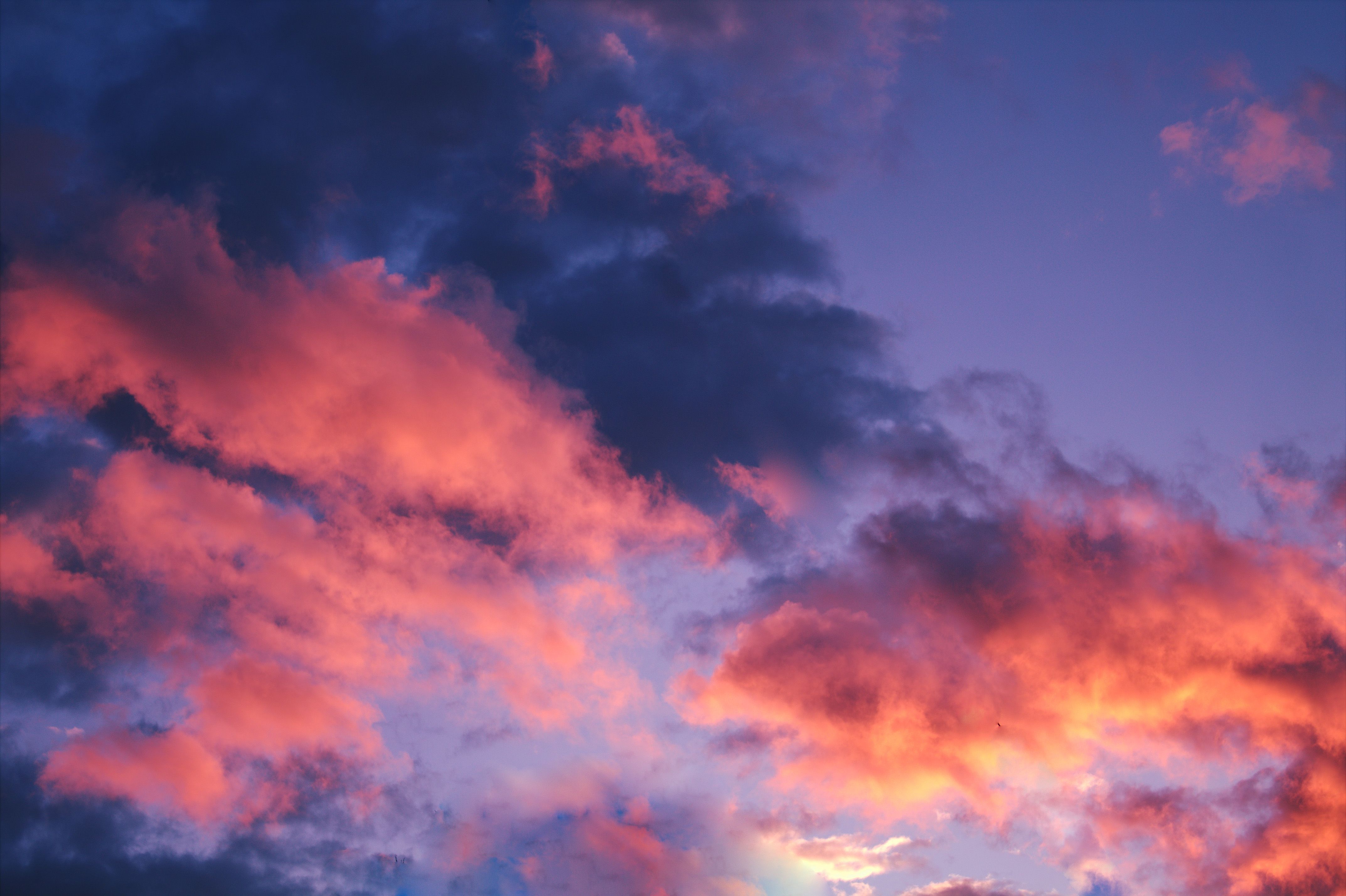 Stunning Sunset Clouds in Georgia Sky · Free Stock Photo