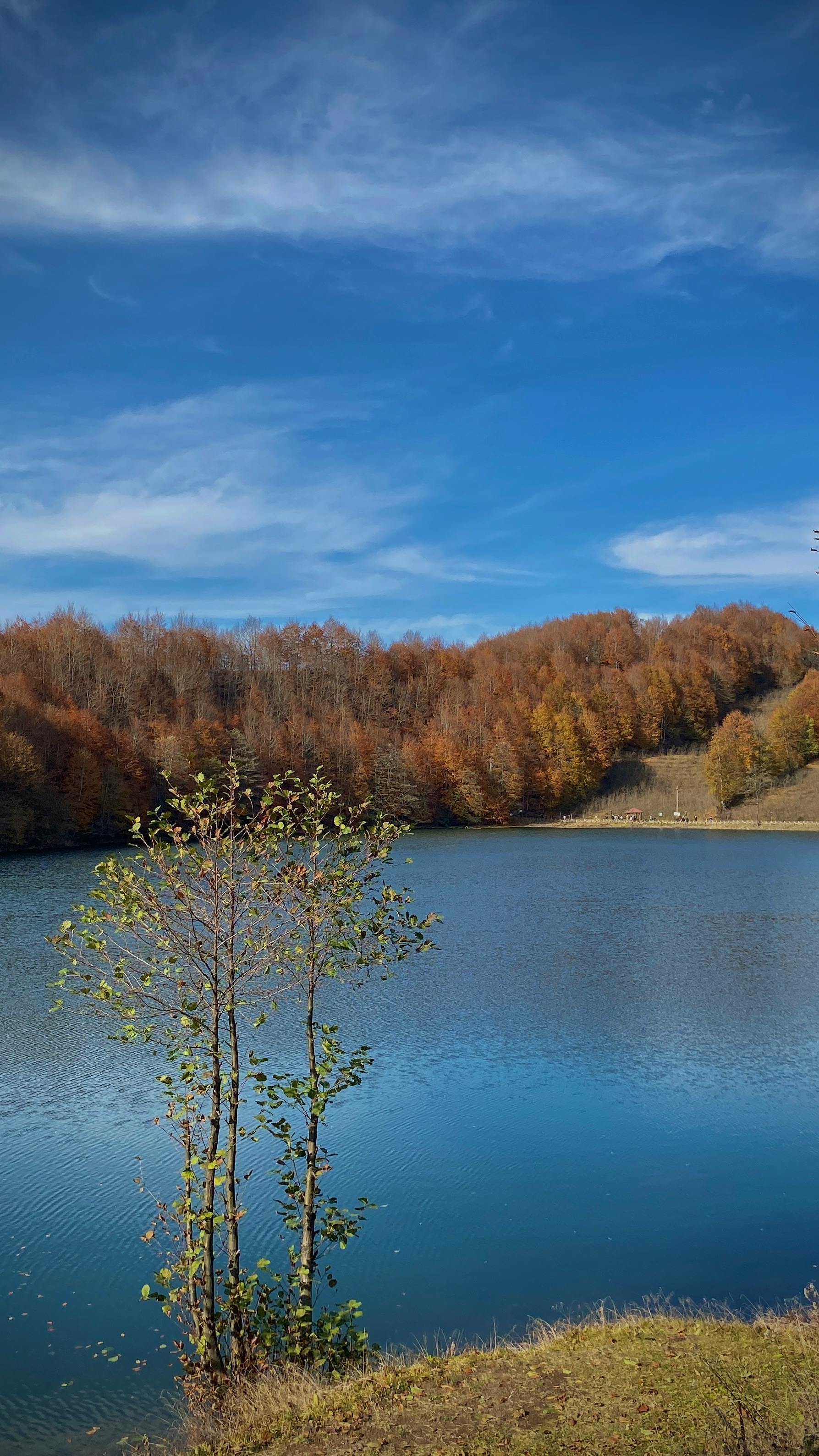 Uncorrupted Photos, Download The BEST Free Uncorrupted Stock Photos ...