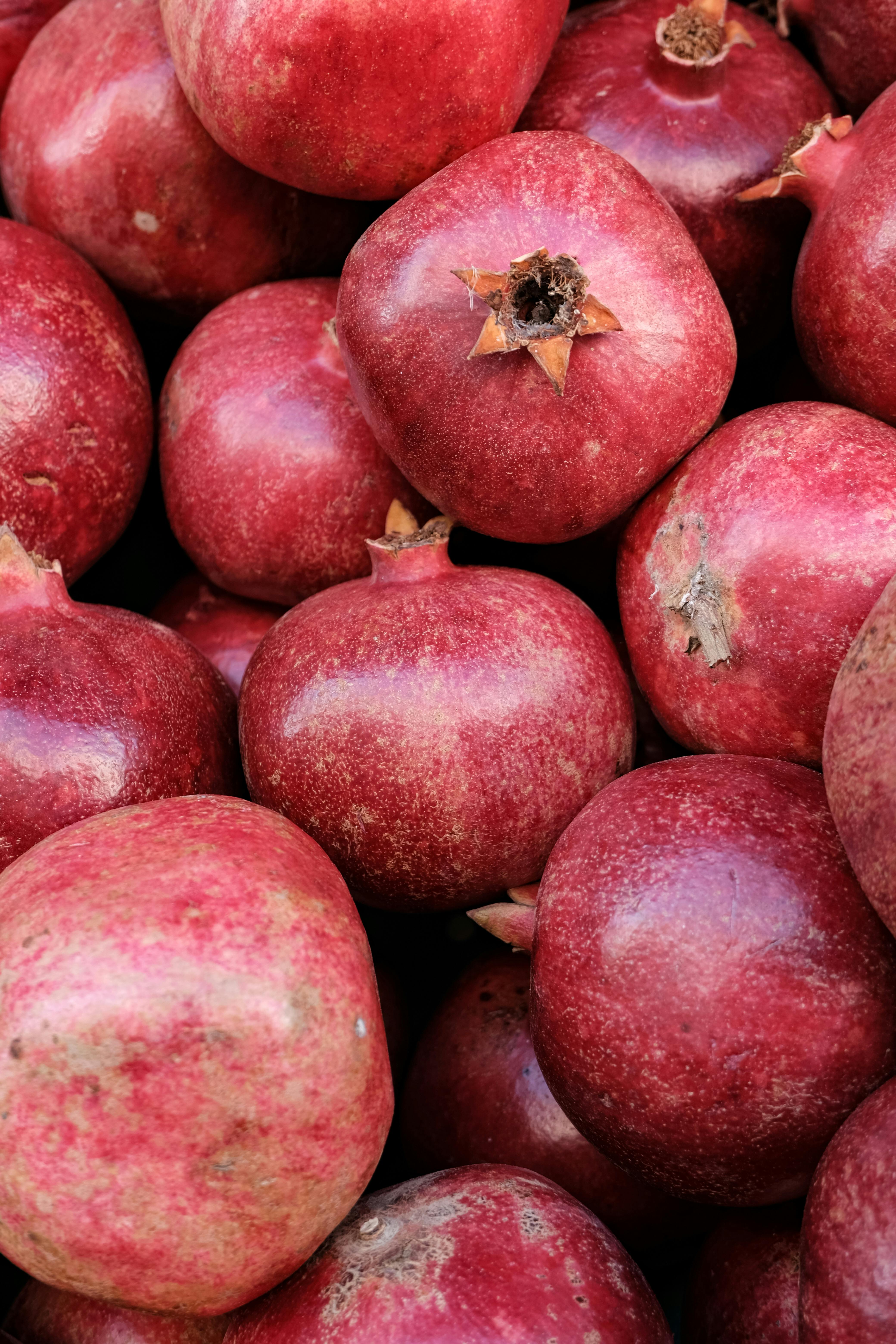 Red Round Fruit · Free Stock Photo