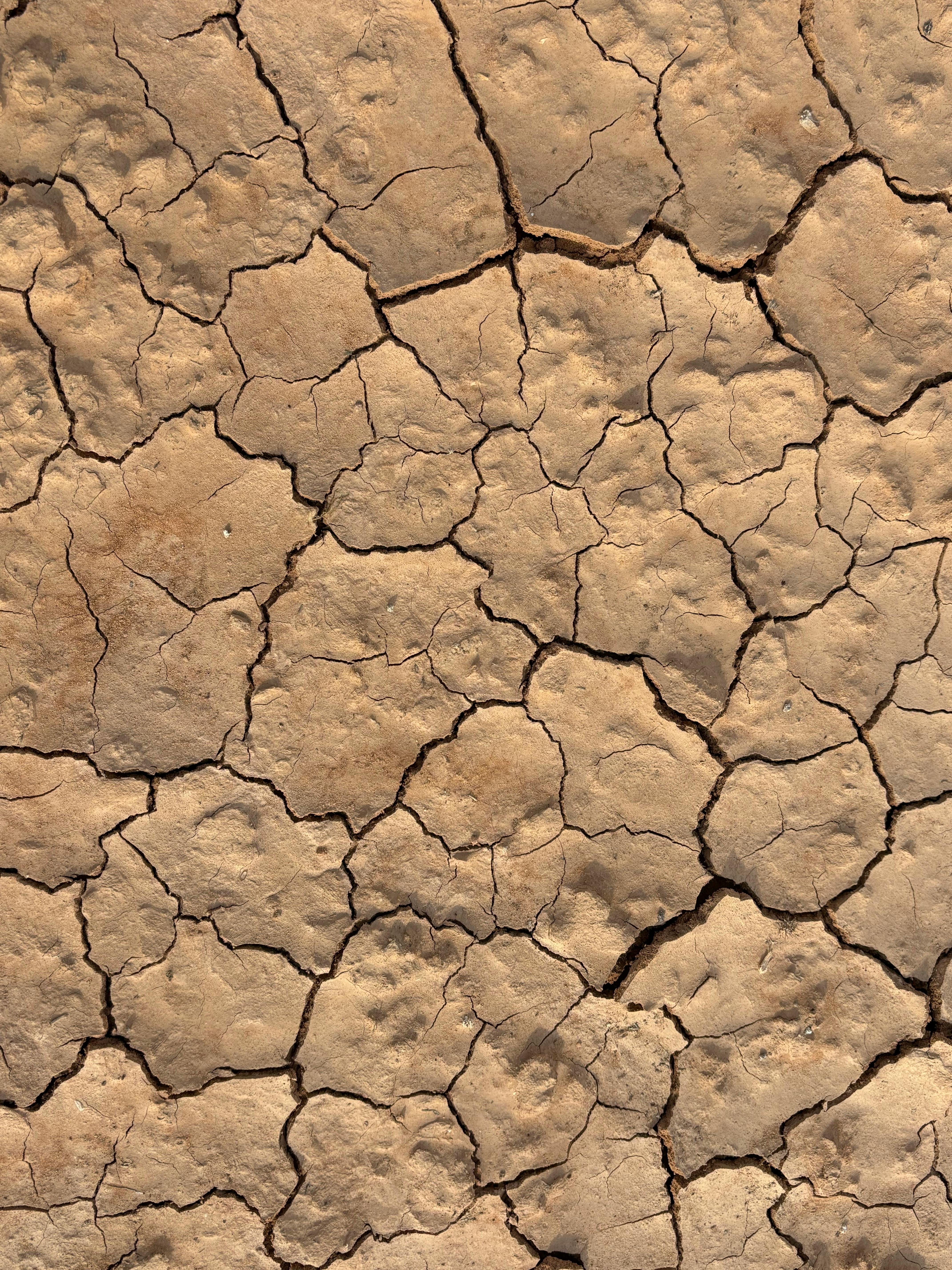 Cracked Dry Earth Texture with Natural Patterns · Free Stock Photo