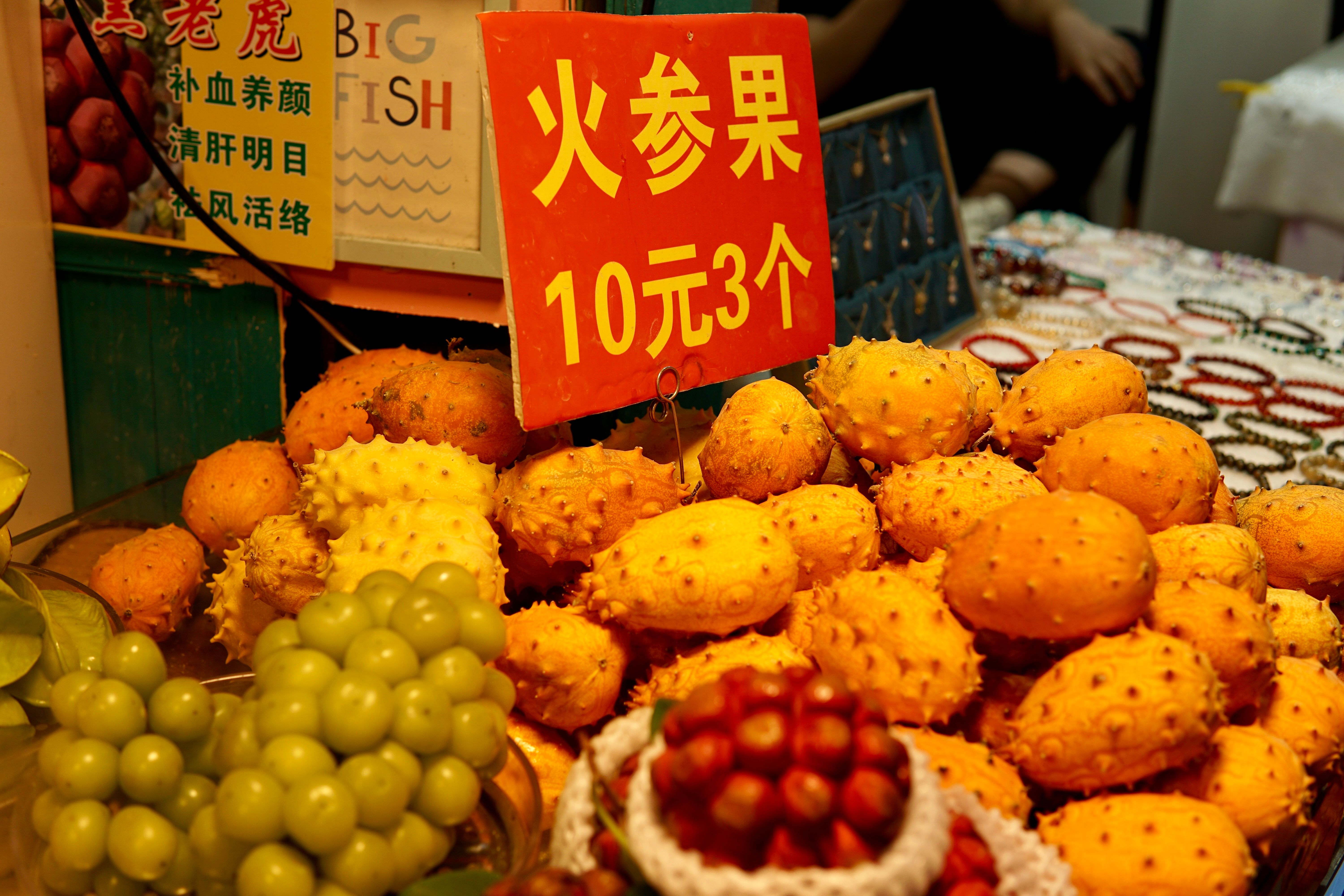 Cultured Experience Photos, Download The BEST Free Cultured Experience ...