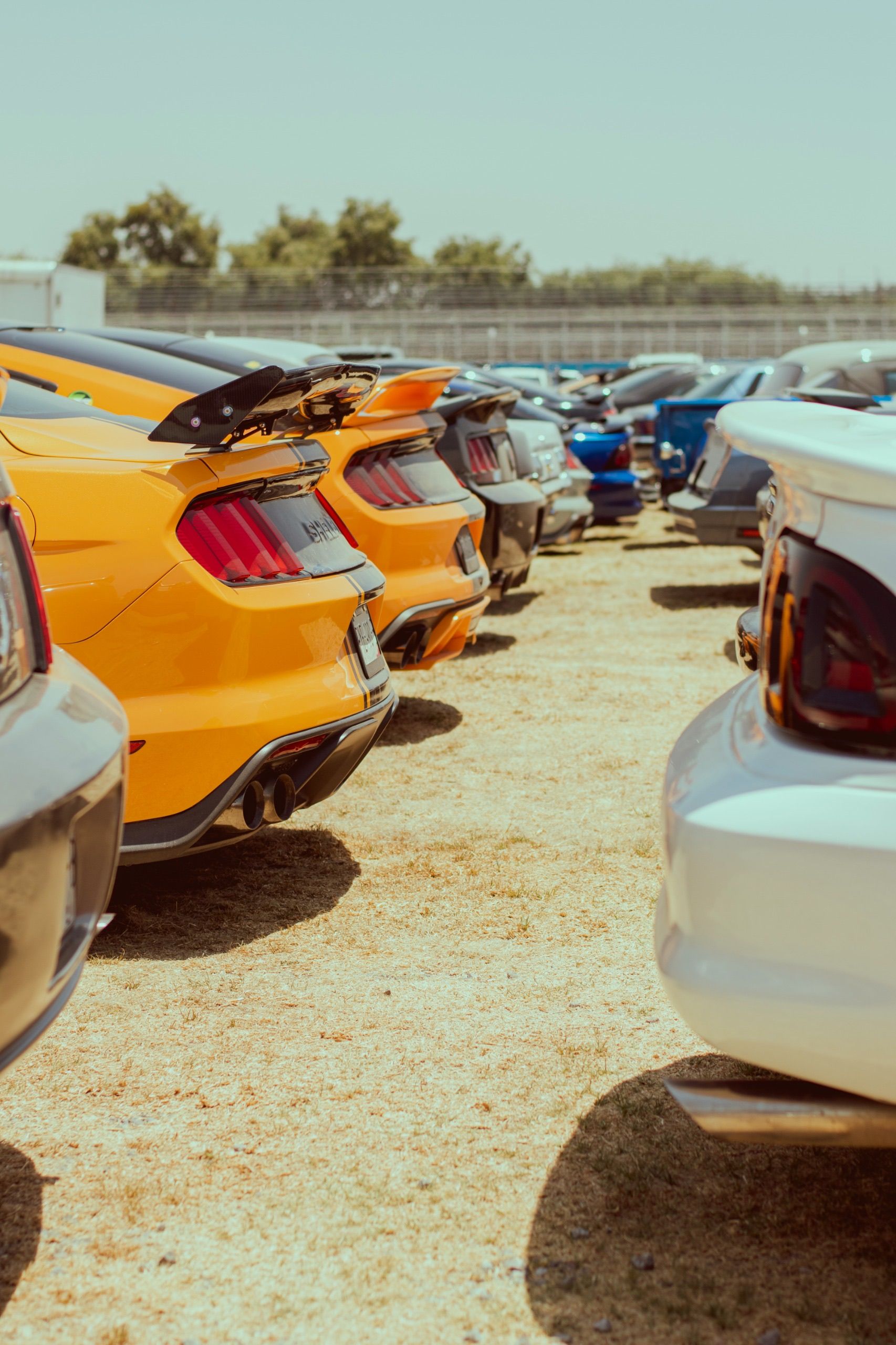 Colorful Sports Cars in Outdoor Parking · Free Stock Photo