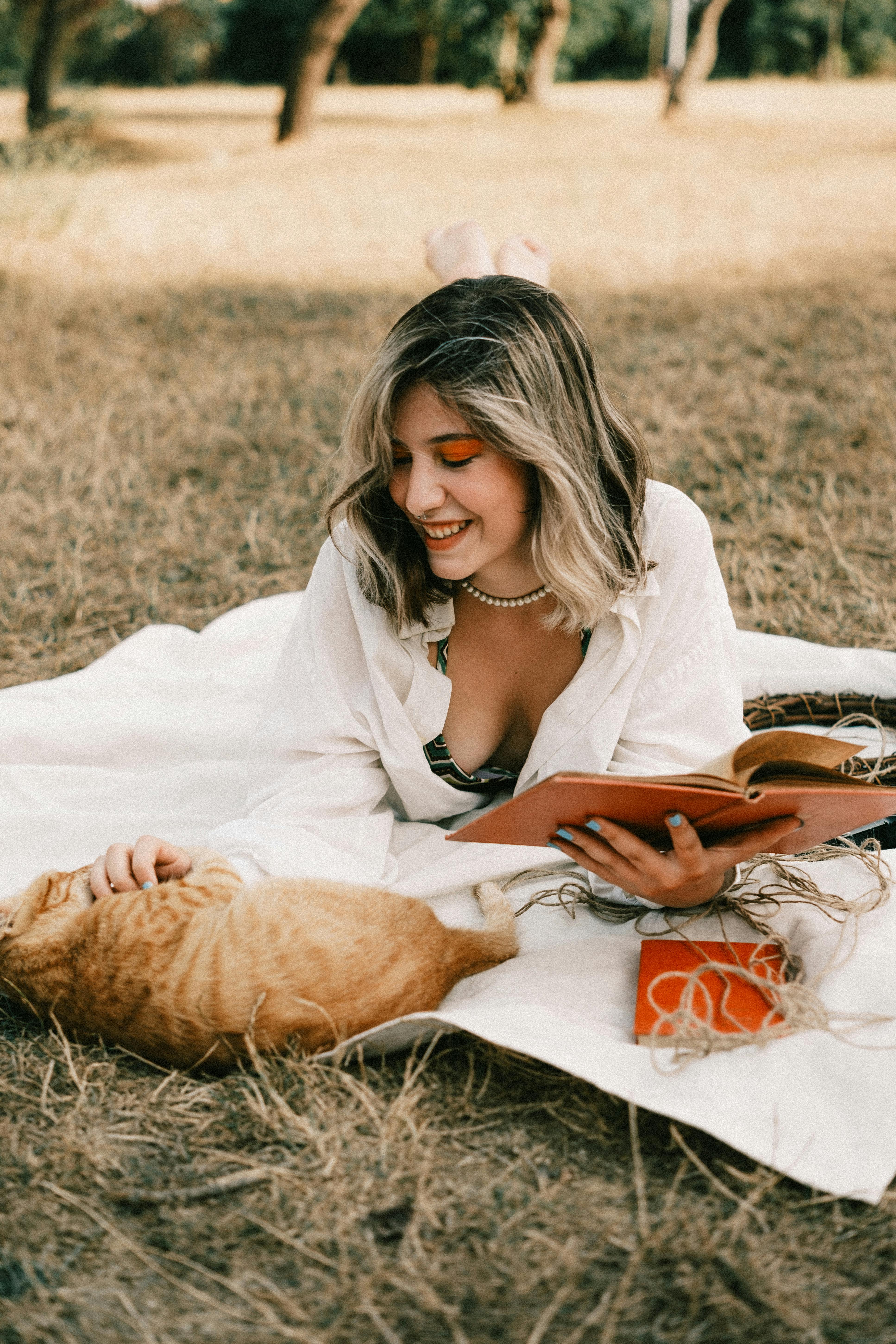 Bob Cat Photos, Download The BEST Free Bob Cat Stock Photos & HD Images