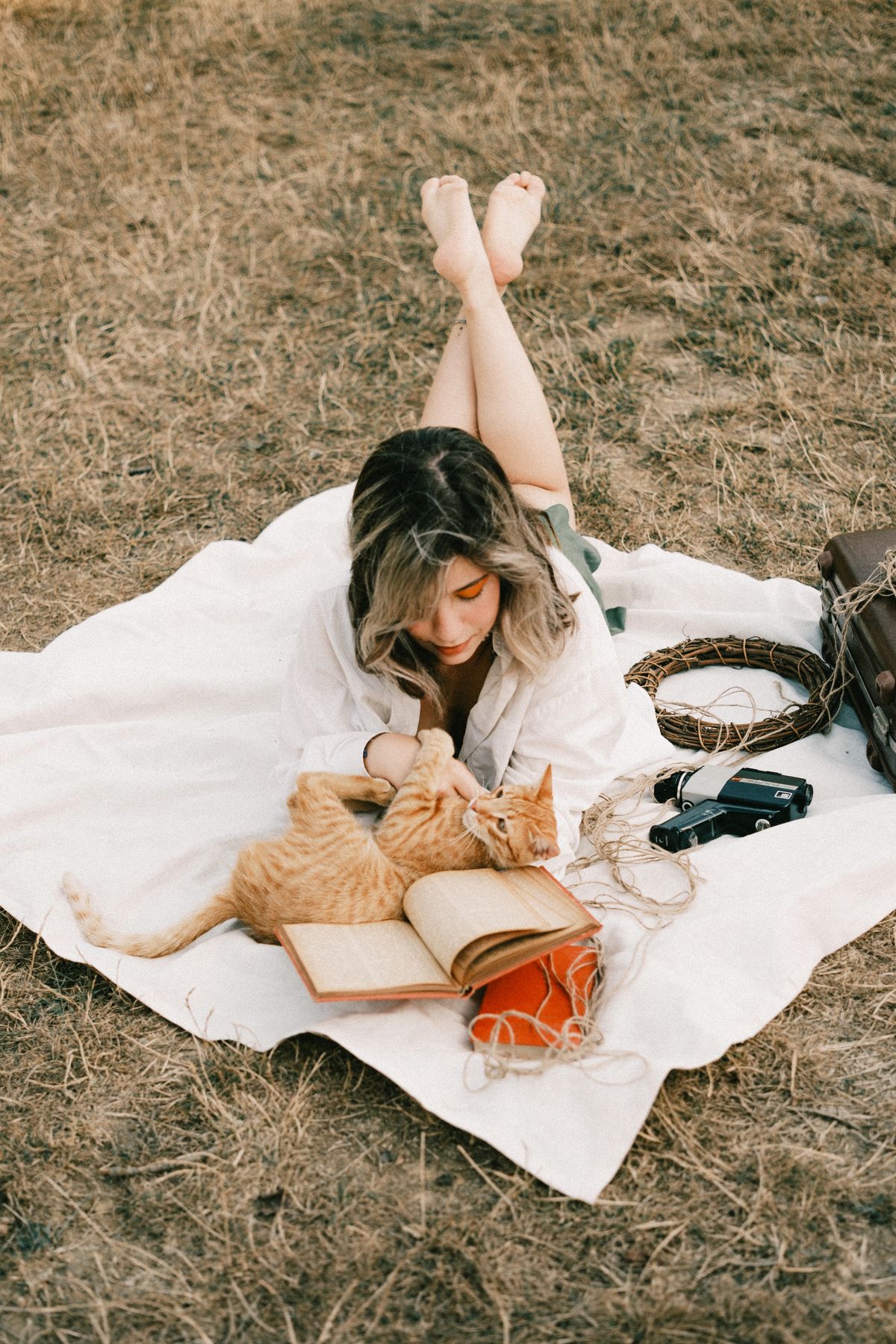 Cat With Book Photos, Download The BEST Free Cat With Book Stock Photos ...