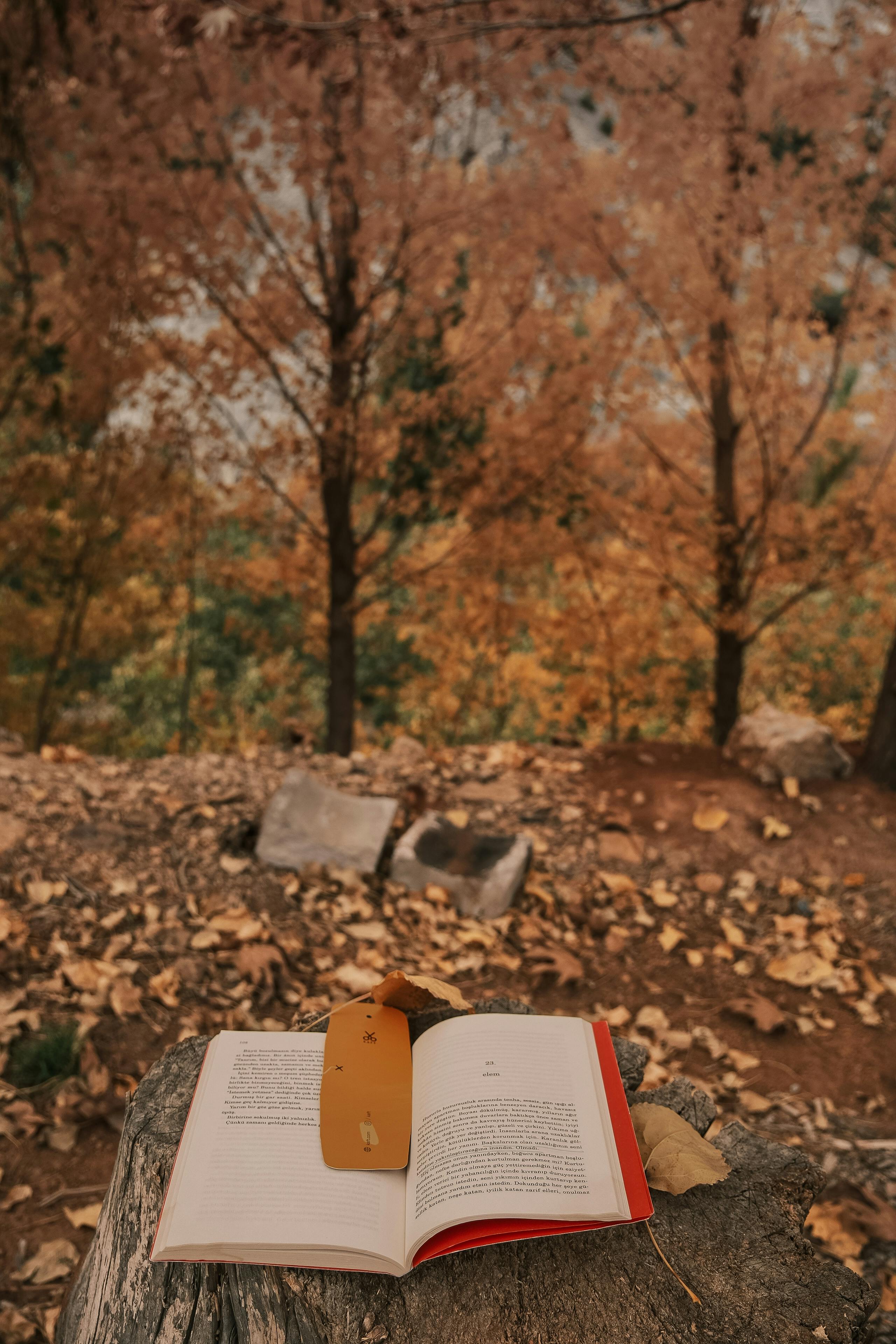 Unplug Photos, Download The BEST Free Unplug Stock Photos & HD Images