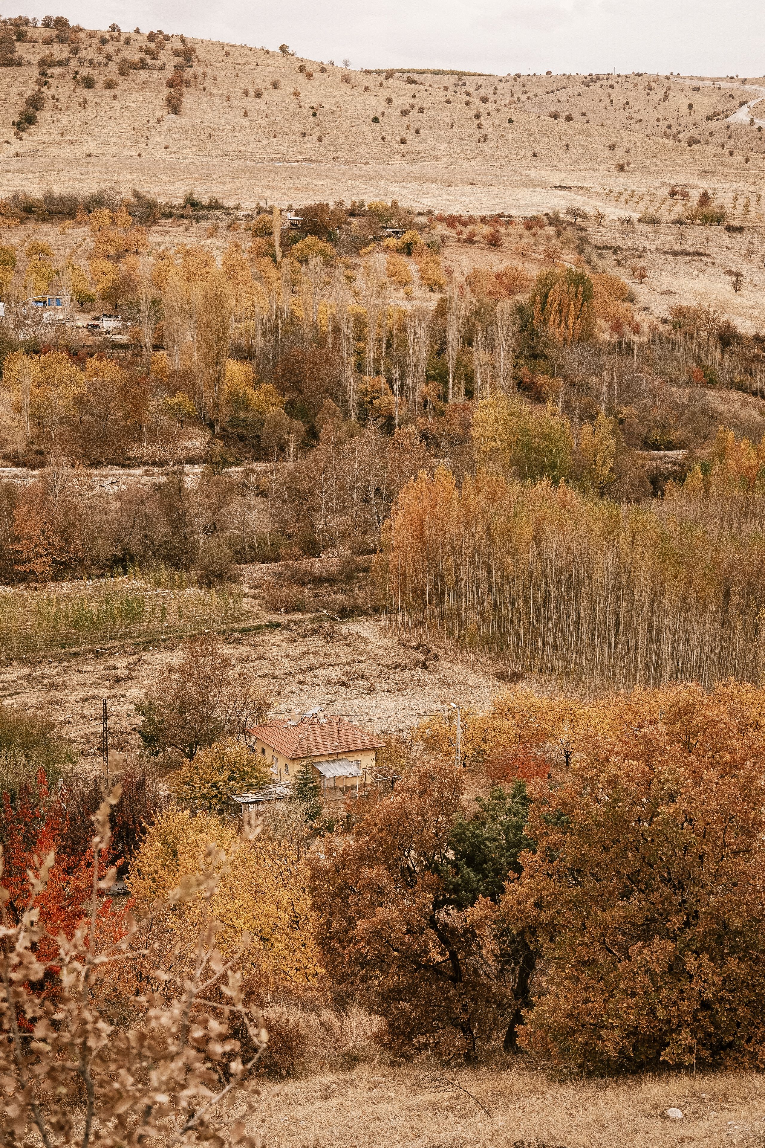 Yellow Landscape Photos, Download The BEST Free Yellow Landscape Stock ...