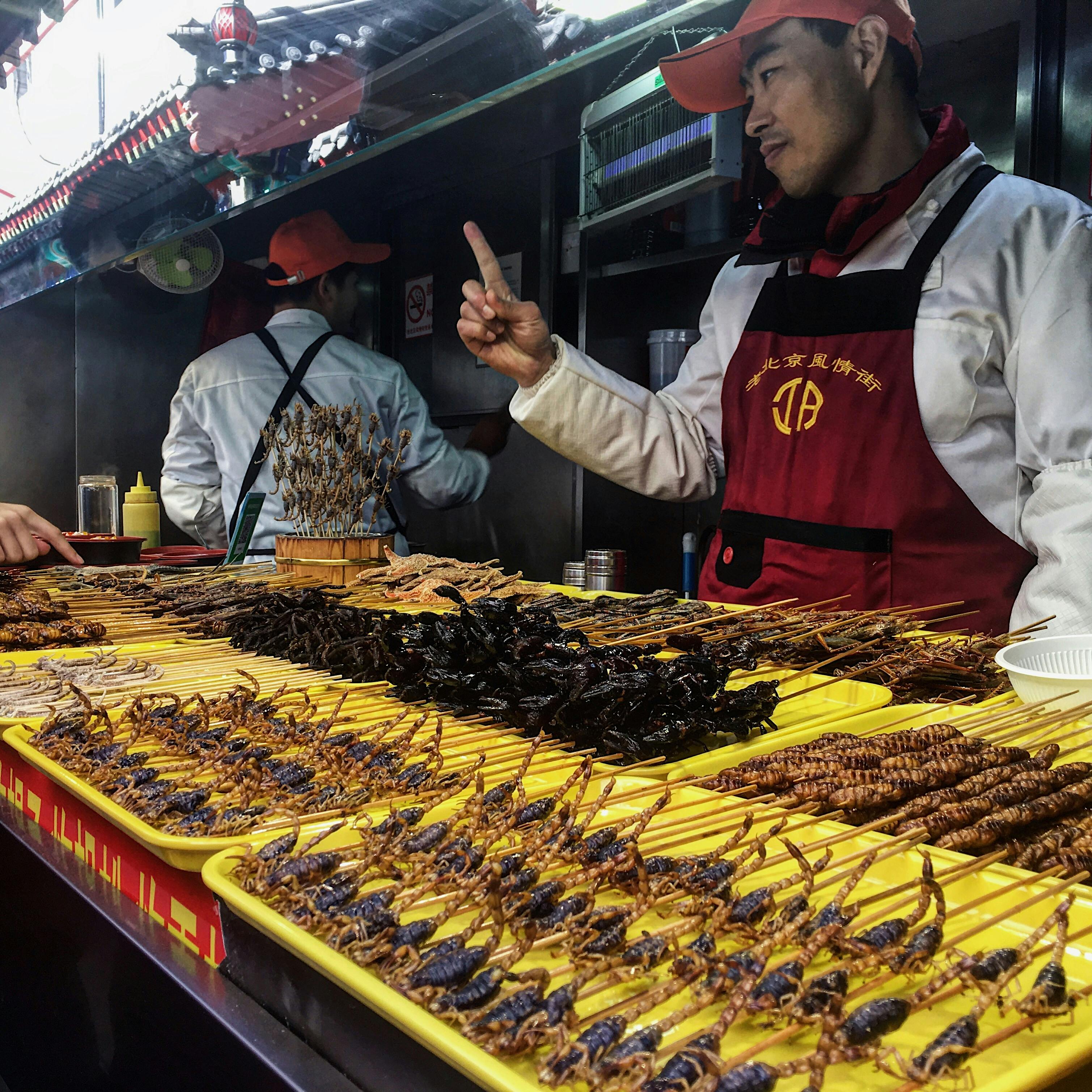 Free stock photo of Beijing, china, insects