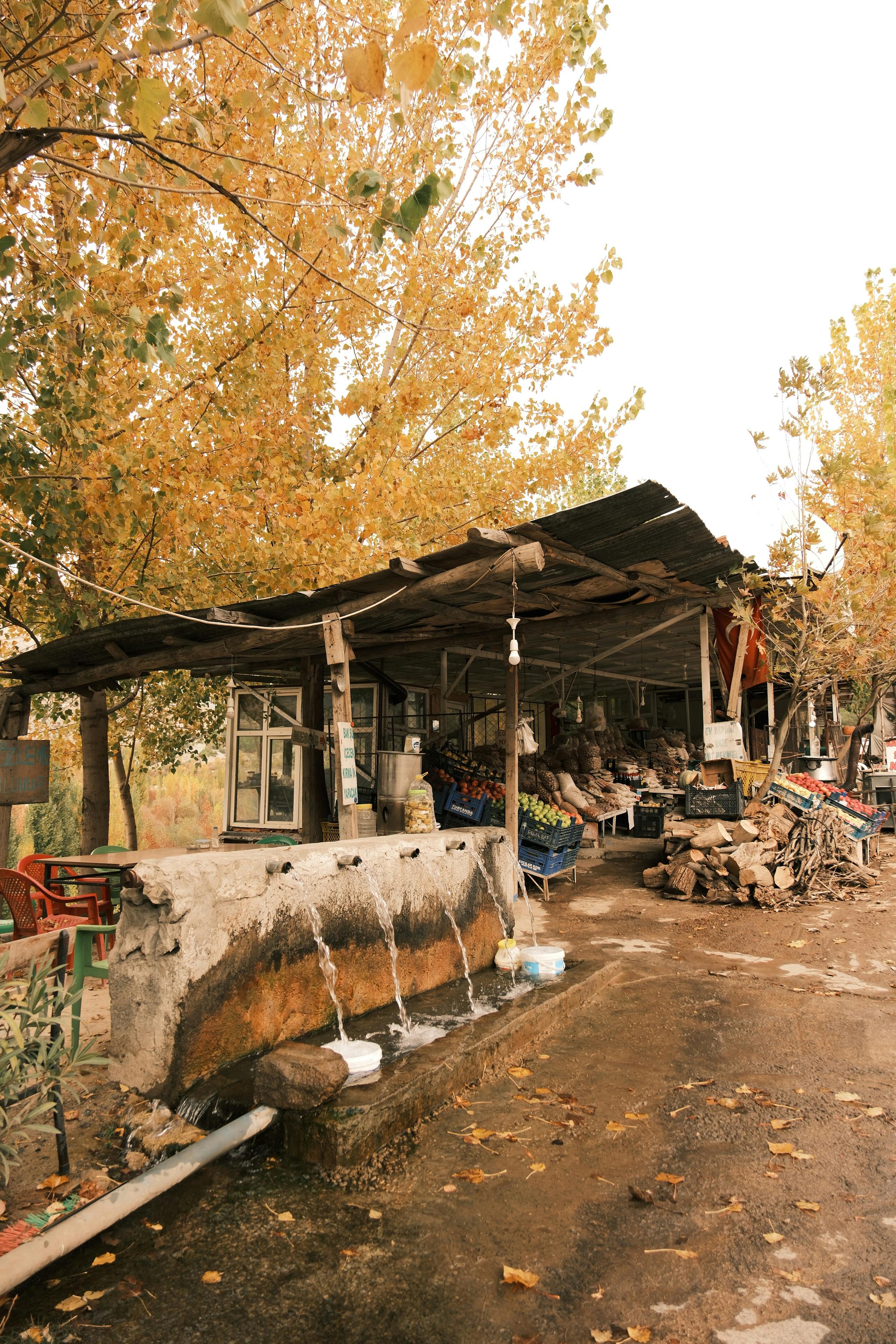 Rustic Market Stand in Autumn Setting · Free Stock Photo