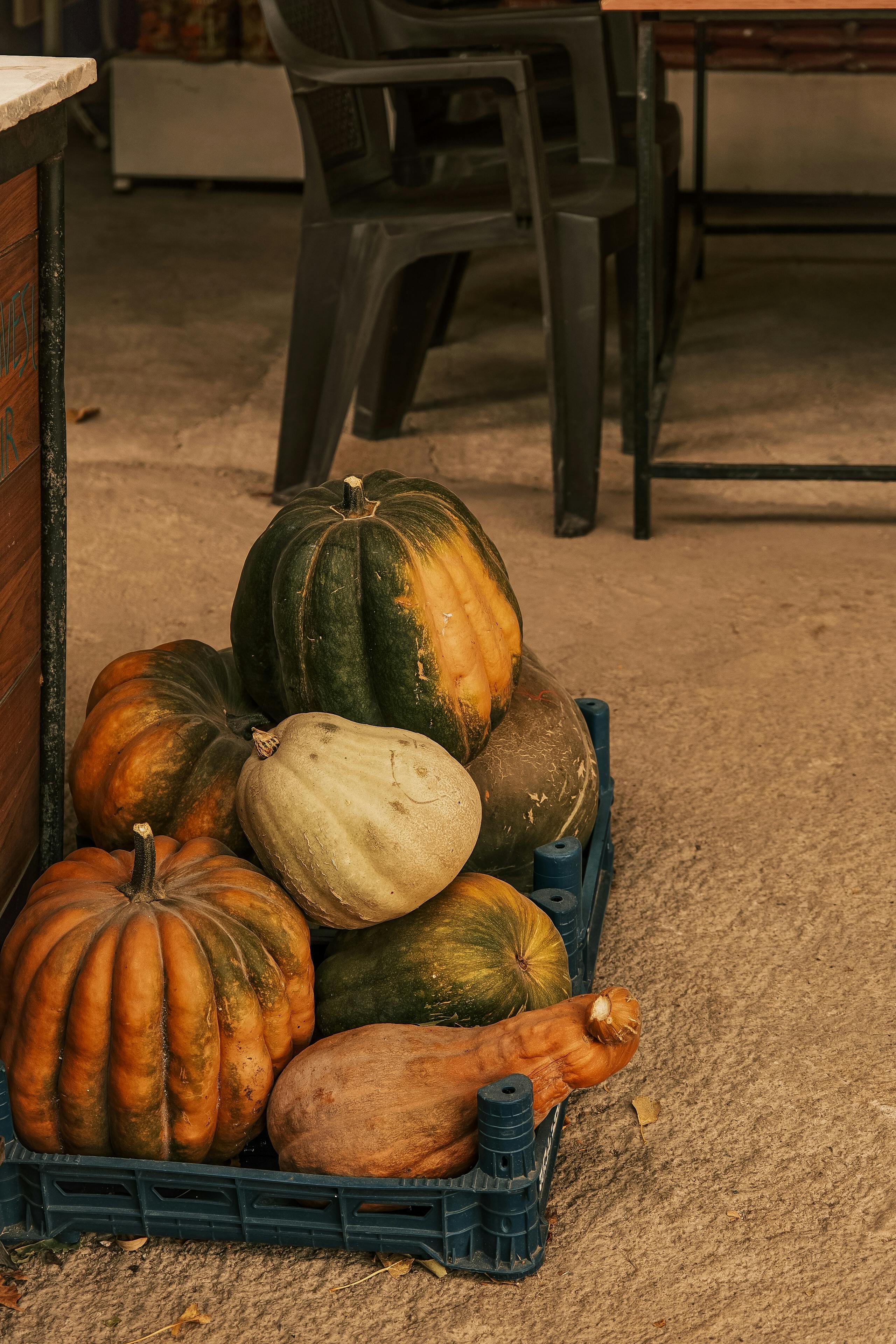 Rustic Autumn Gourds on Display Outdoors · Free Stock Photo