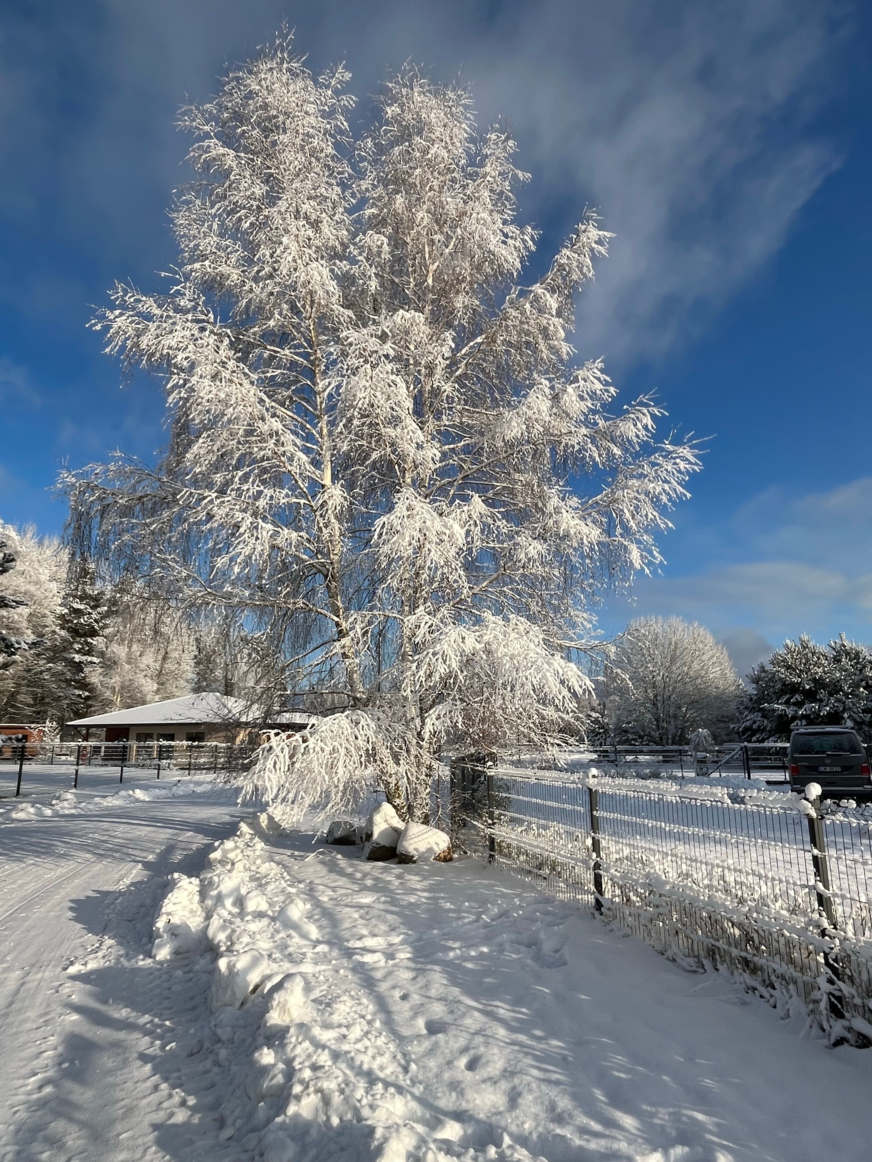 Januari Kalender Photos, Download The BEST Free Januari Kalender Stock ...