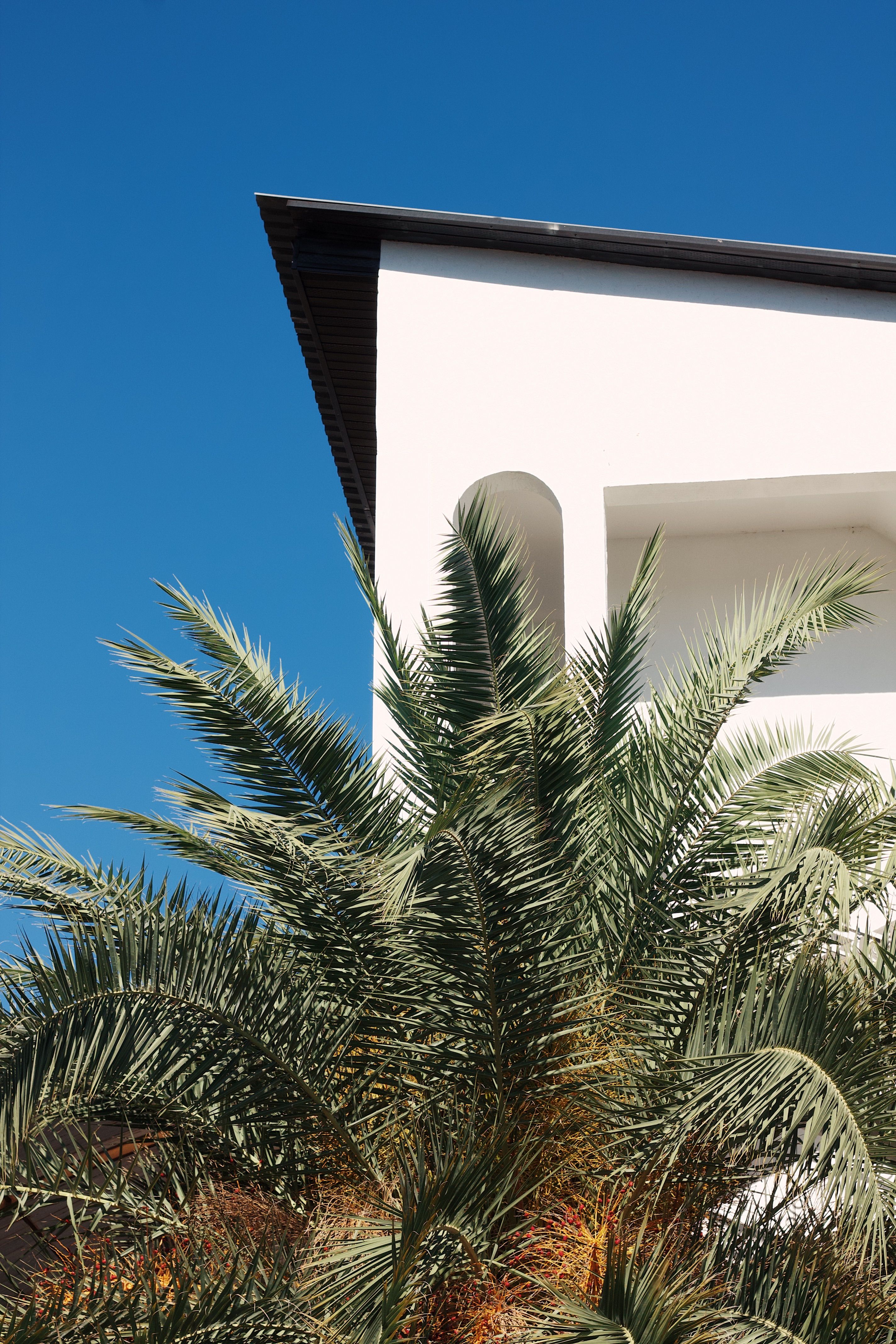 Modern Architecture with Palm Tree in Sochi · Free Stock Photo