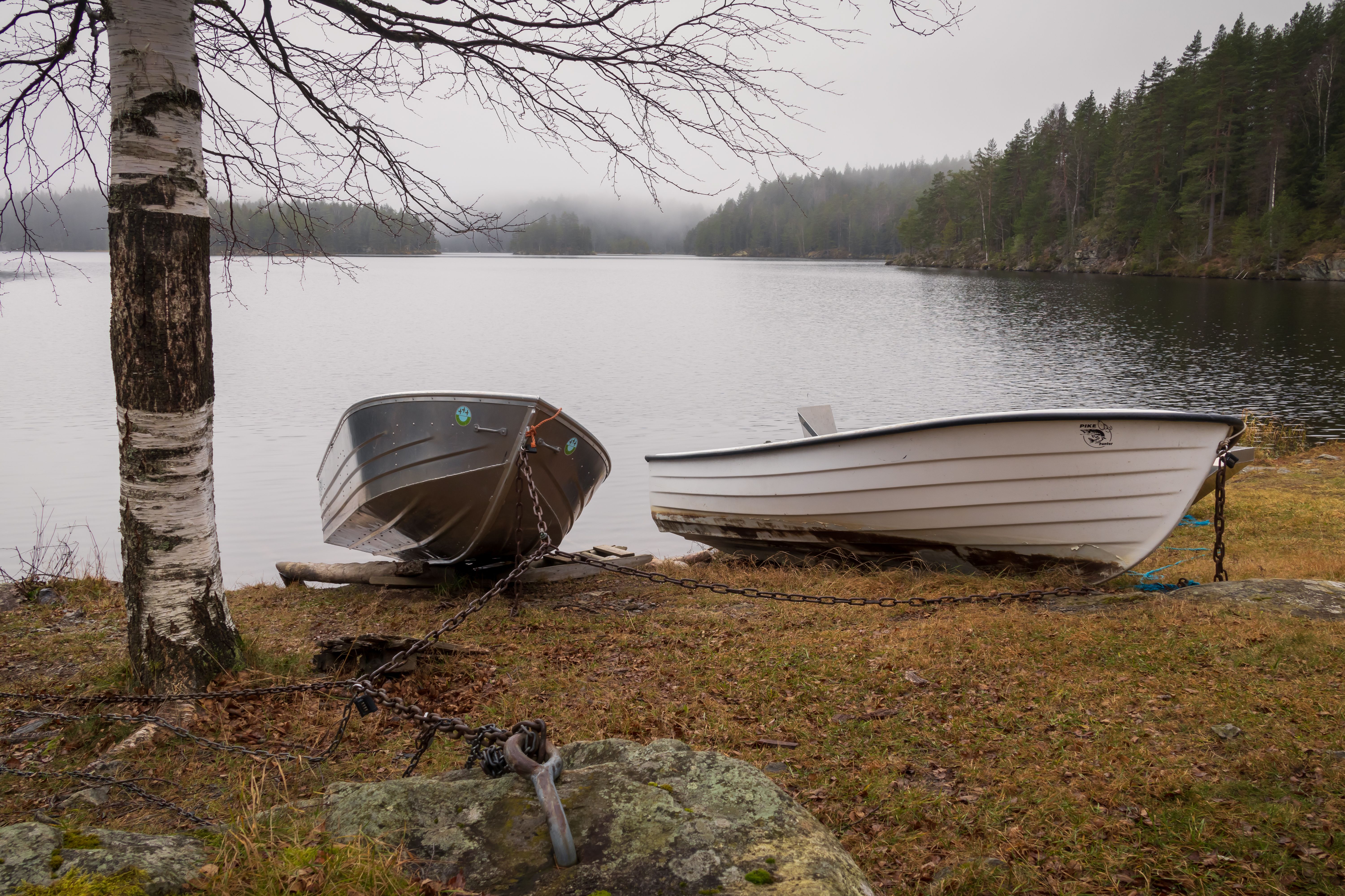 Serene Autumn Scene with Boats by a Misty Lake · Free Stock Photo