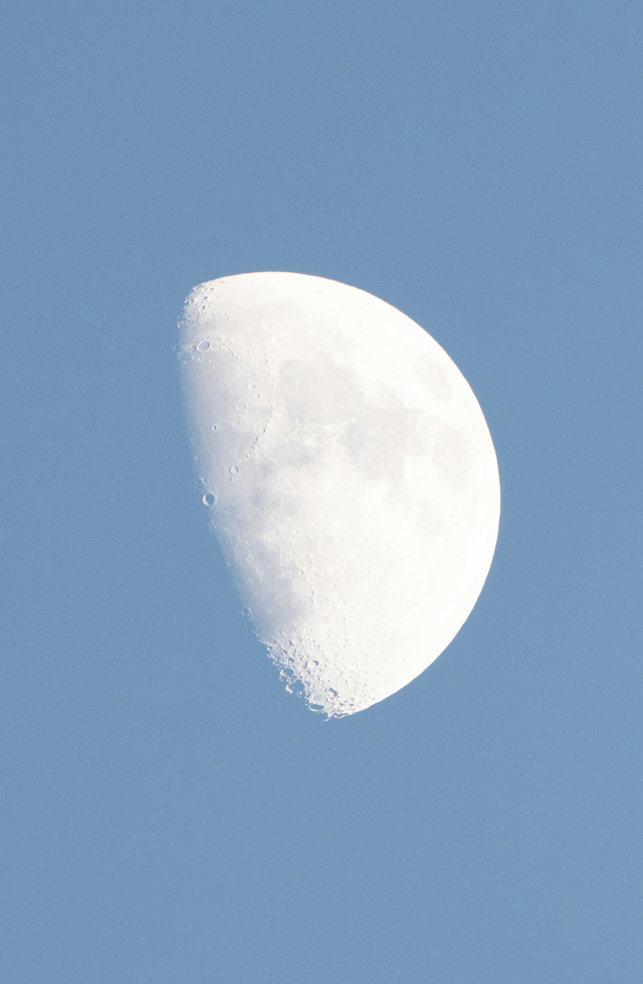 High Definition First Quarter Moon Against Blue Sky · Free Stock Photo