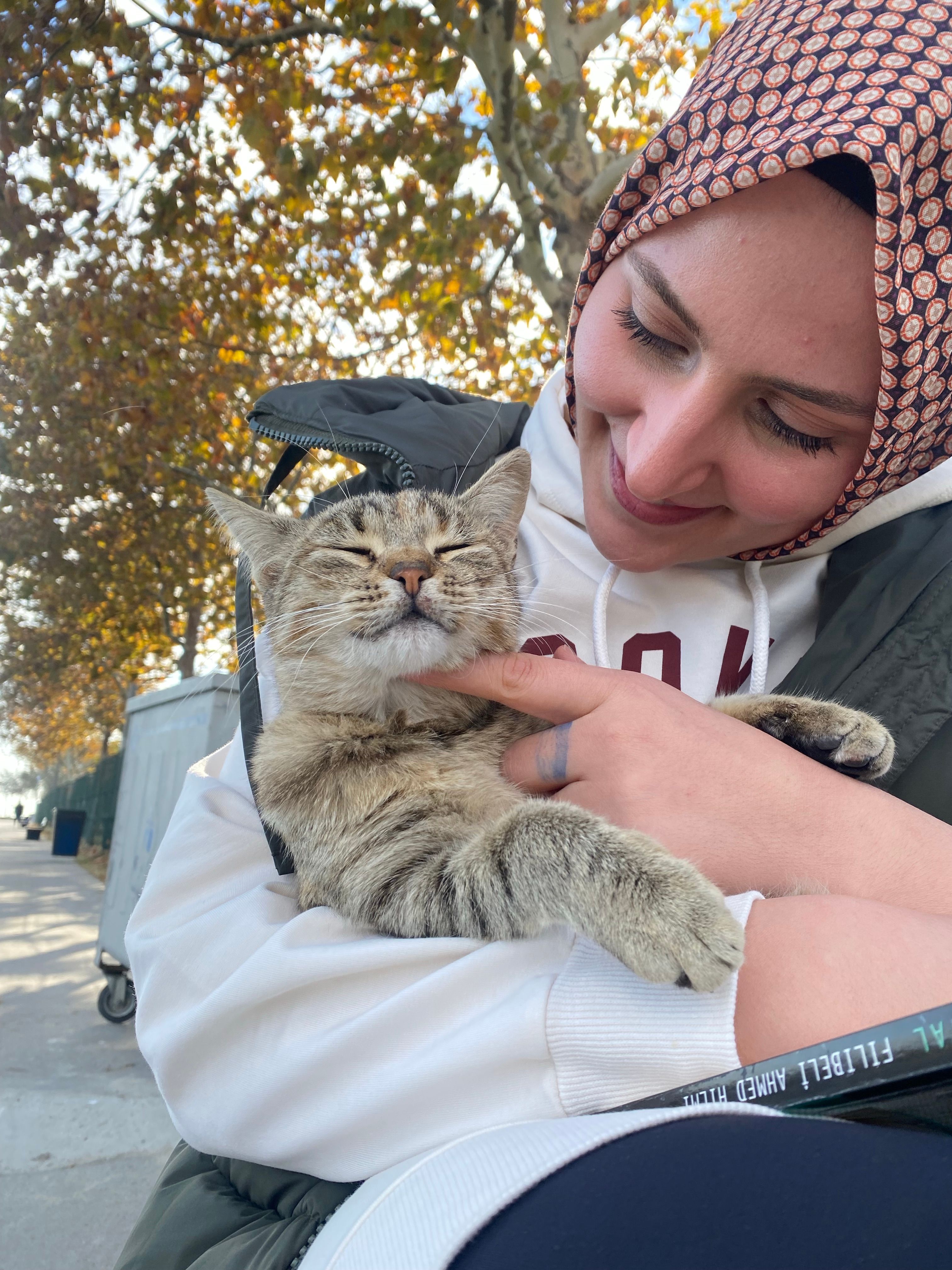 Woman Hugging Kitten · Free Stock Photo