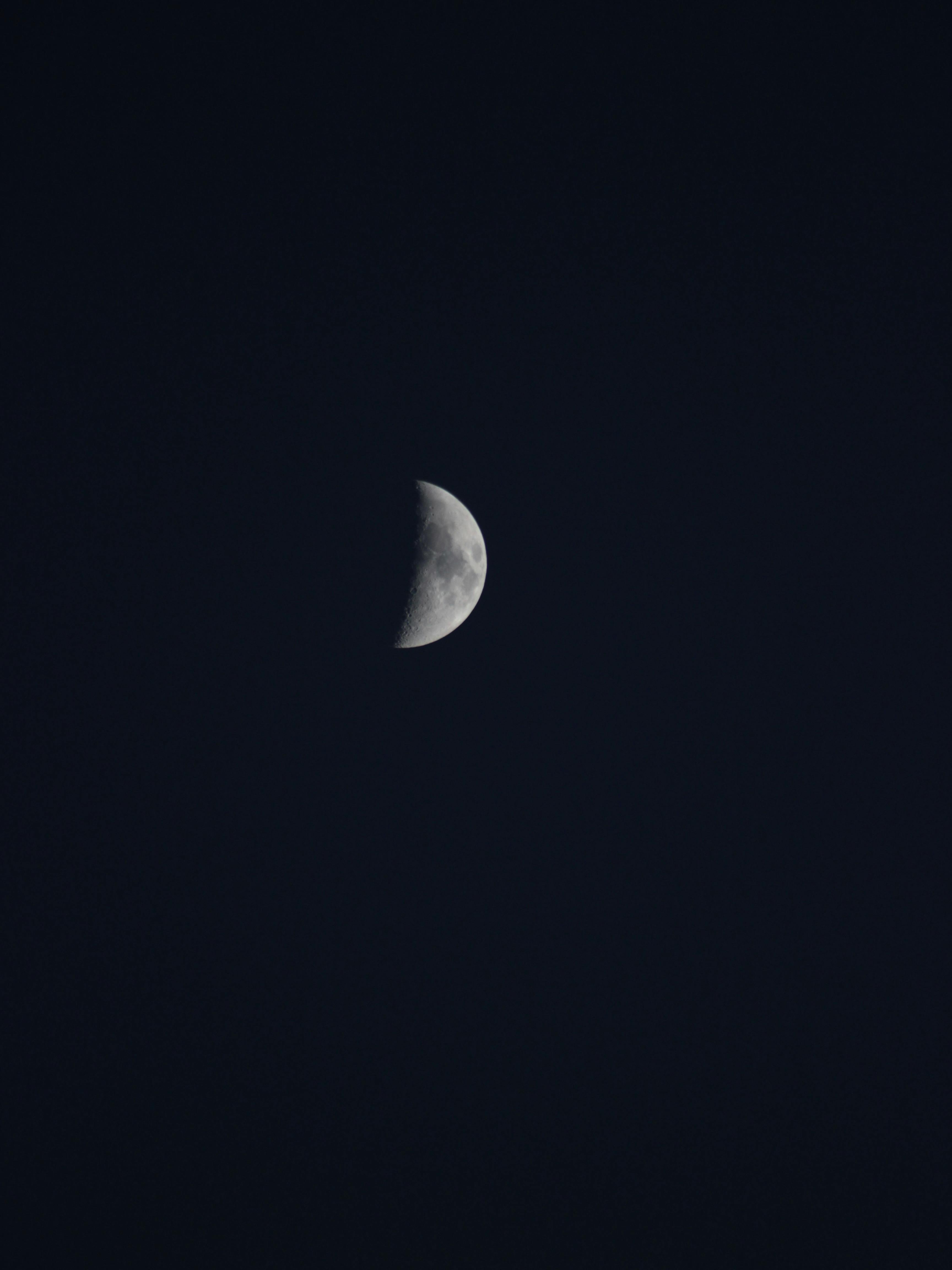 Half Moon in a Dark Night Sky · Free Stock Photo