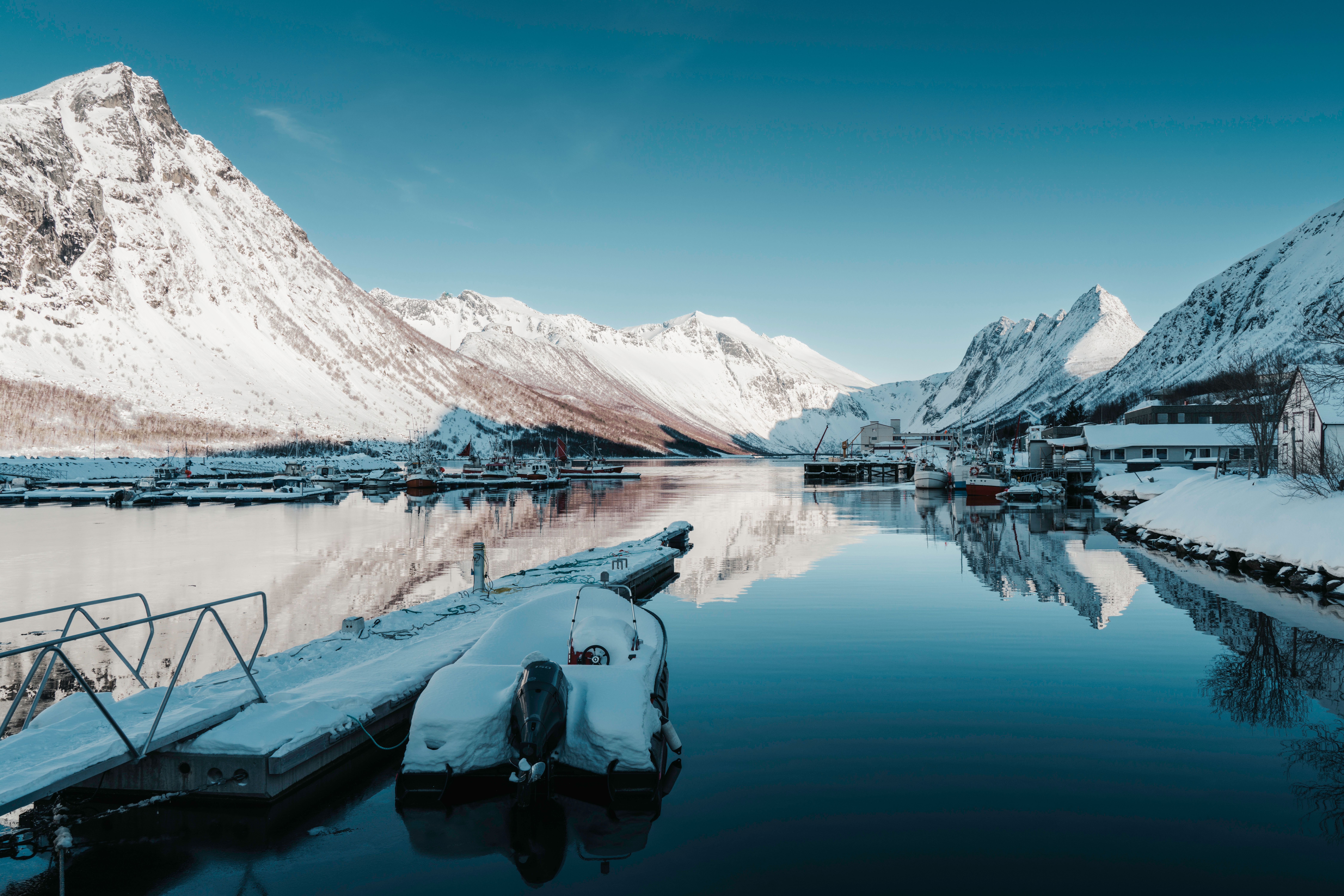 Serene Winter Reflections in Arctic Harbor · Free Stock Photo