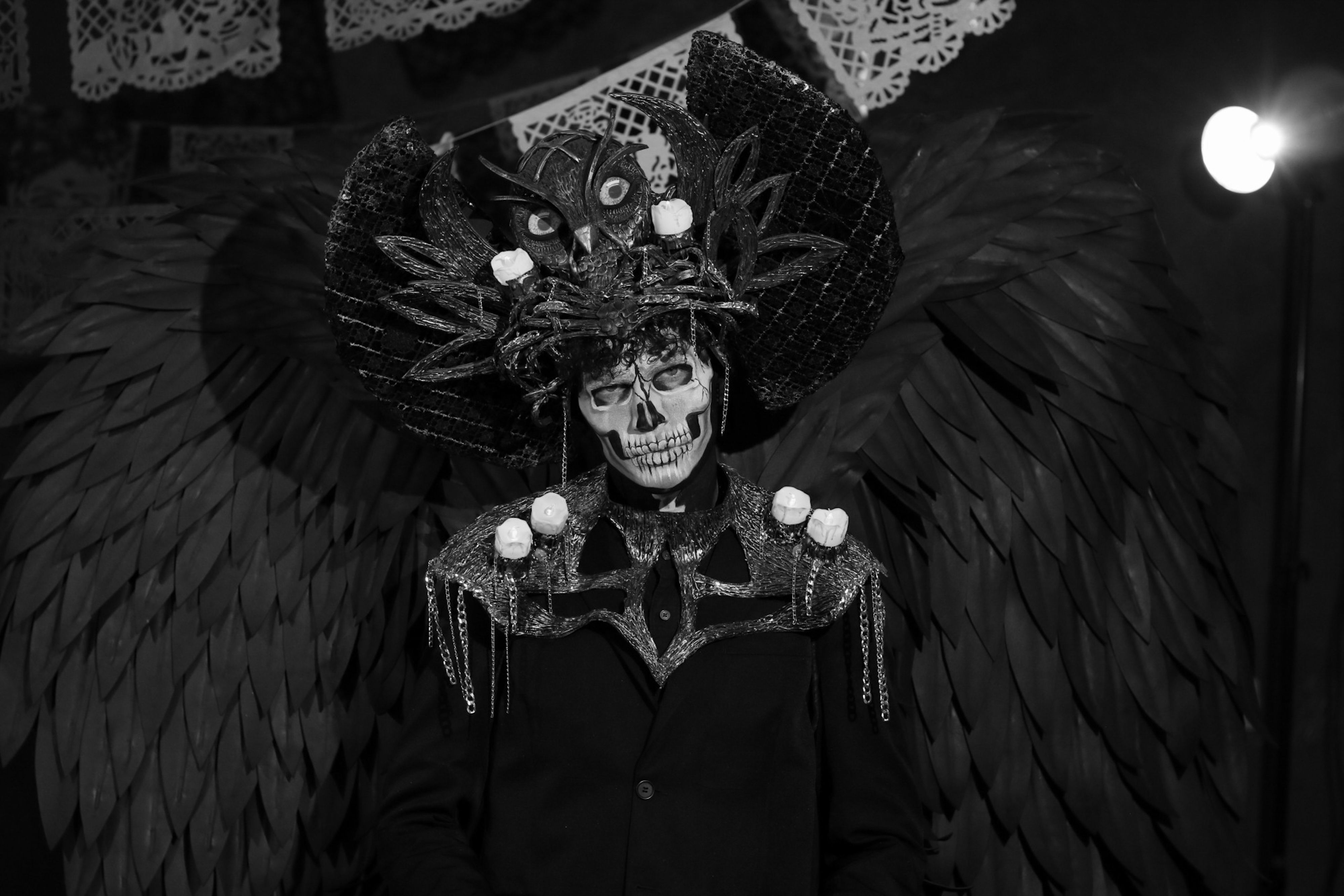 Mystical Skull Mask with Feathered Costume · Free Stock Photo