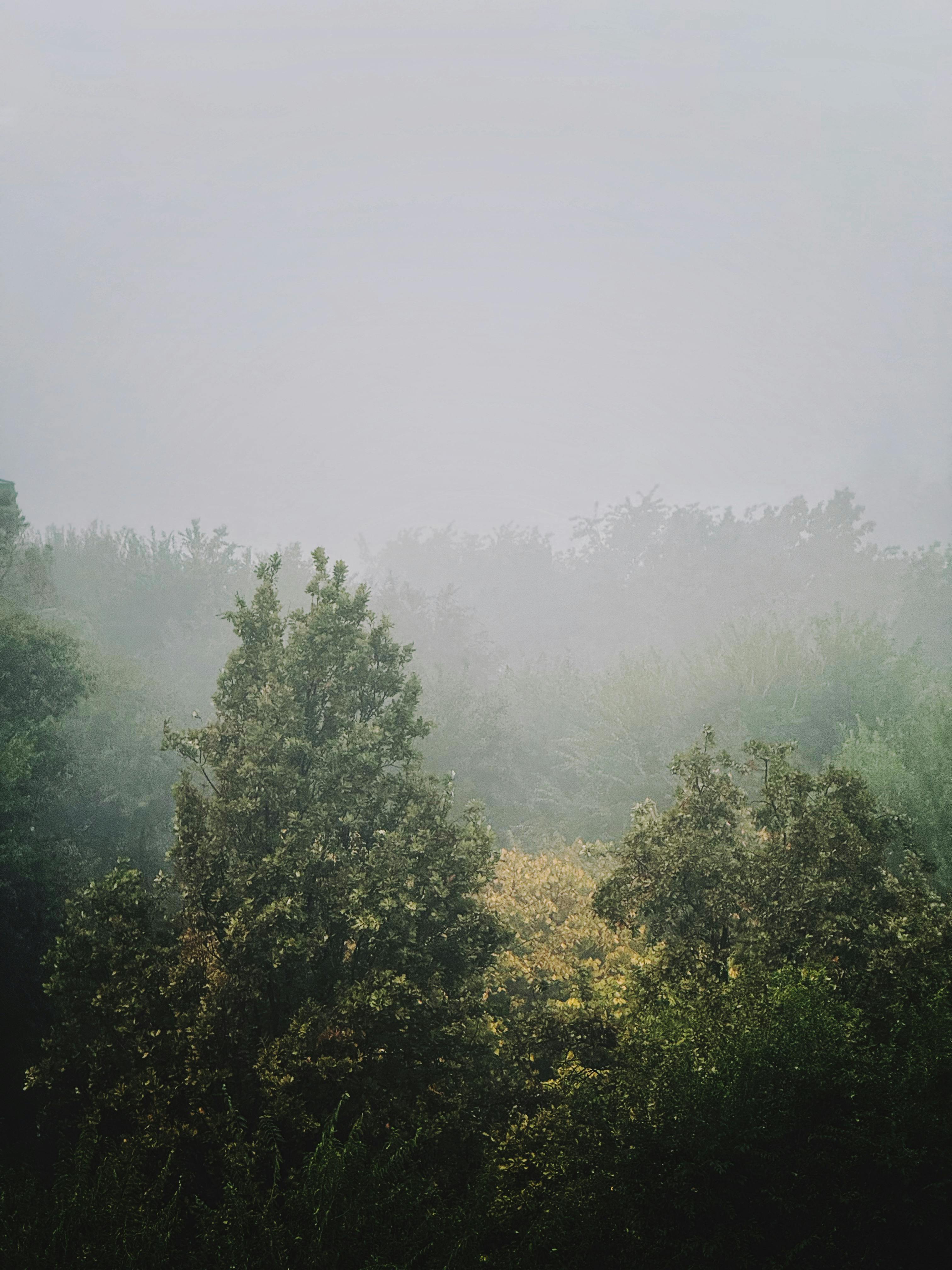 Nemanja Ciric - Photography