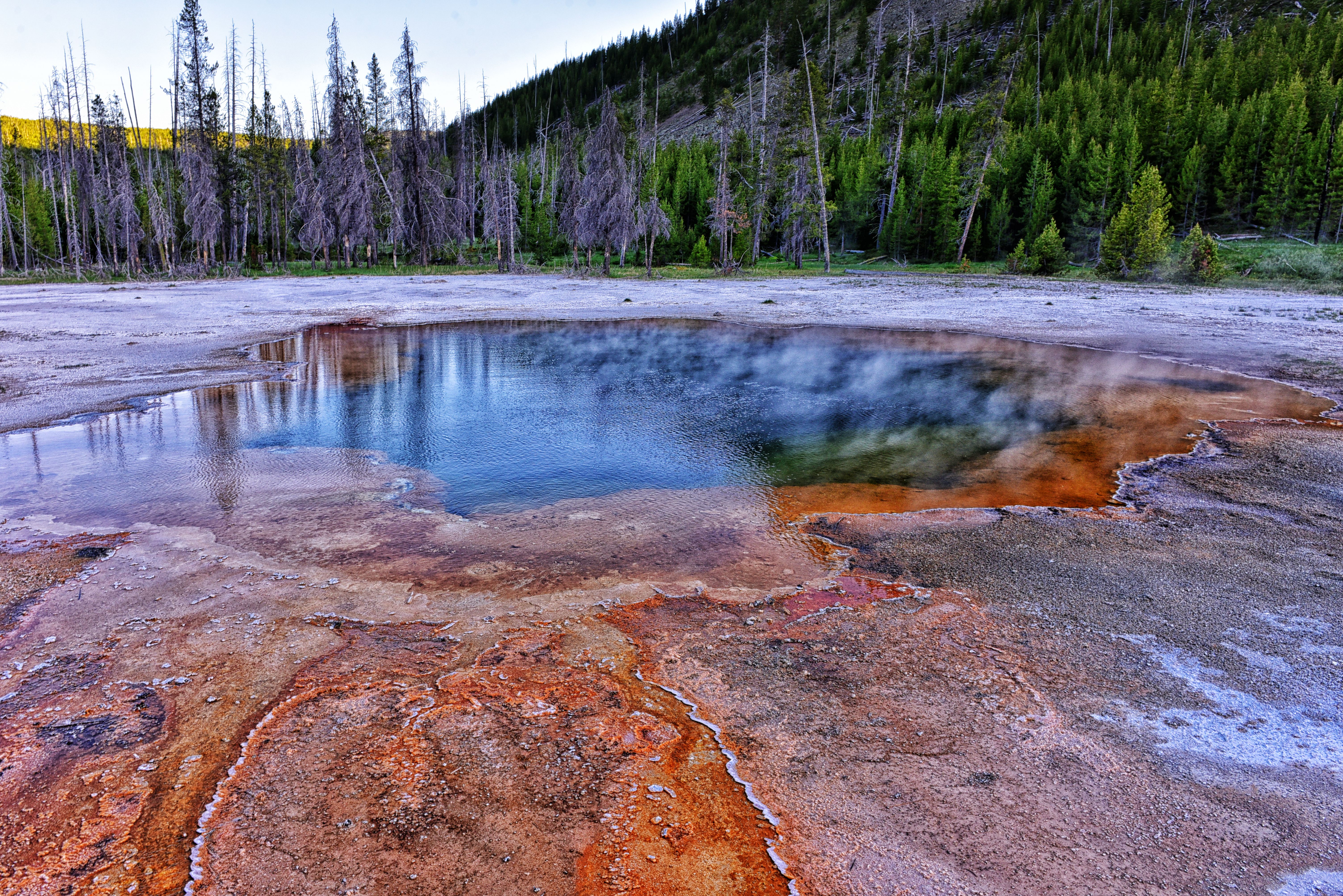 Vibrant Hot Spring in Yellowstone National Park · Free Stock Photo