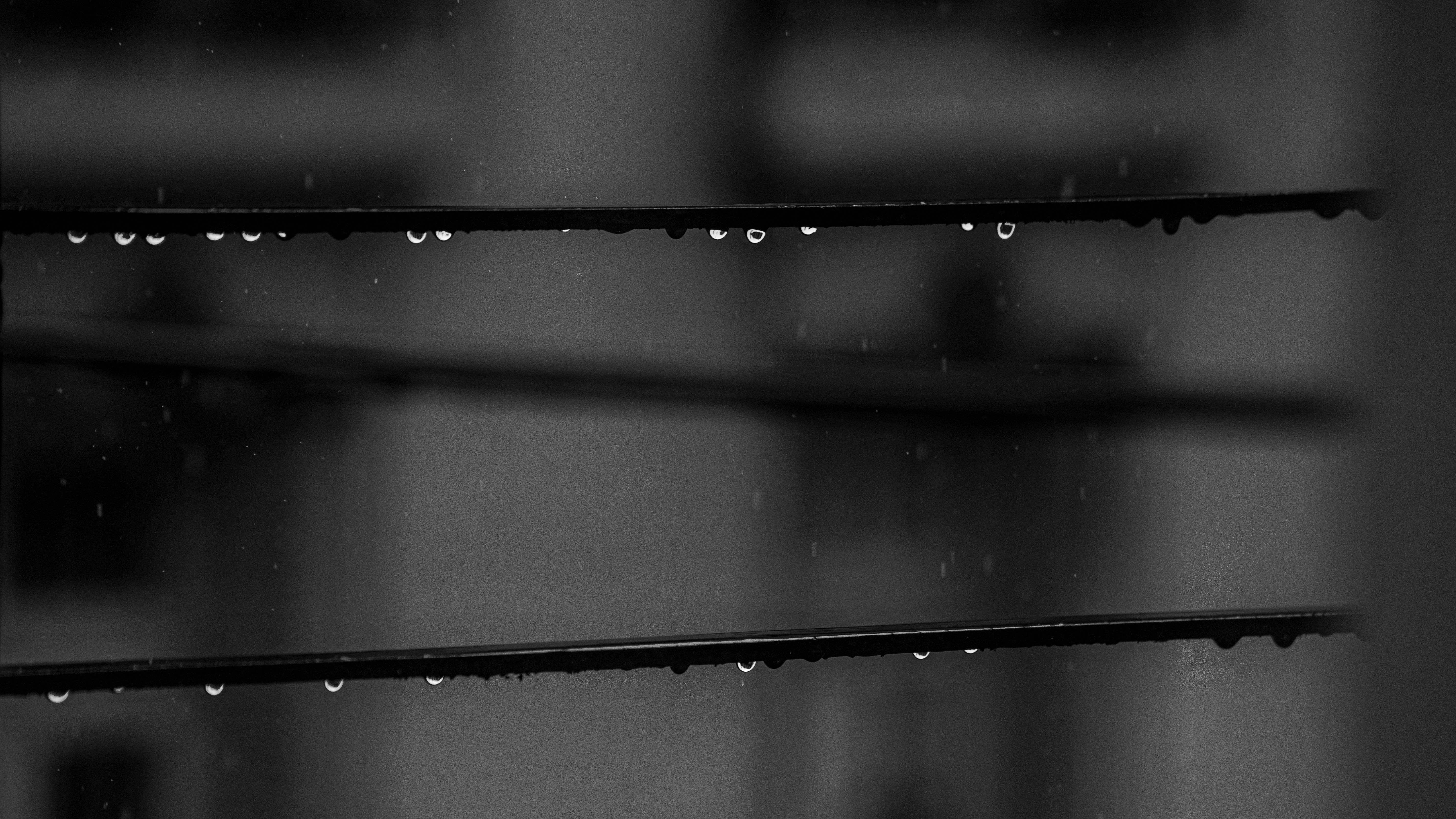 Tear Drops Macro Photography · Free Stock Photo