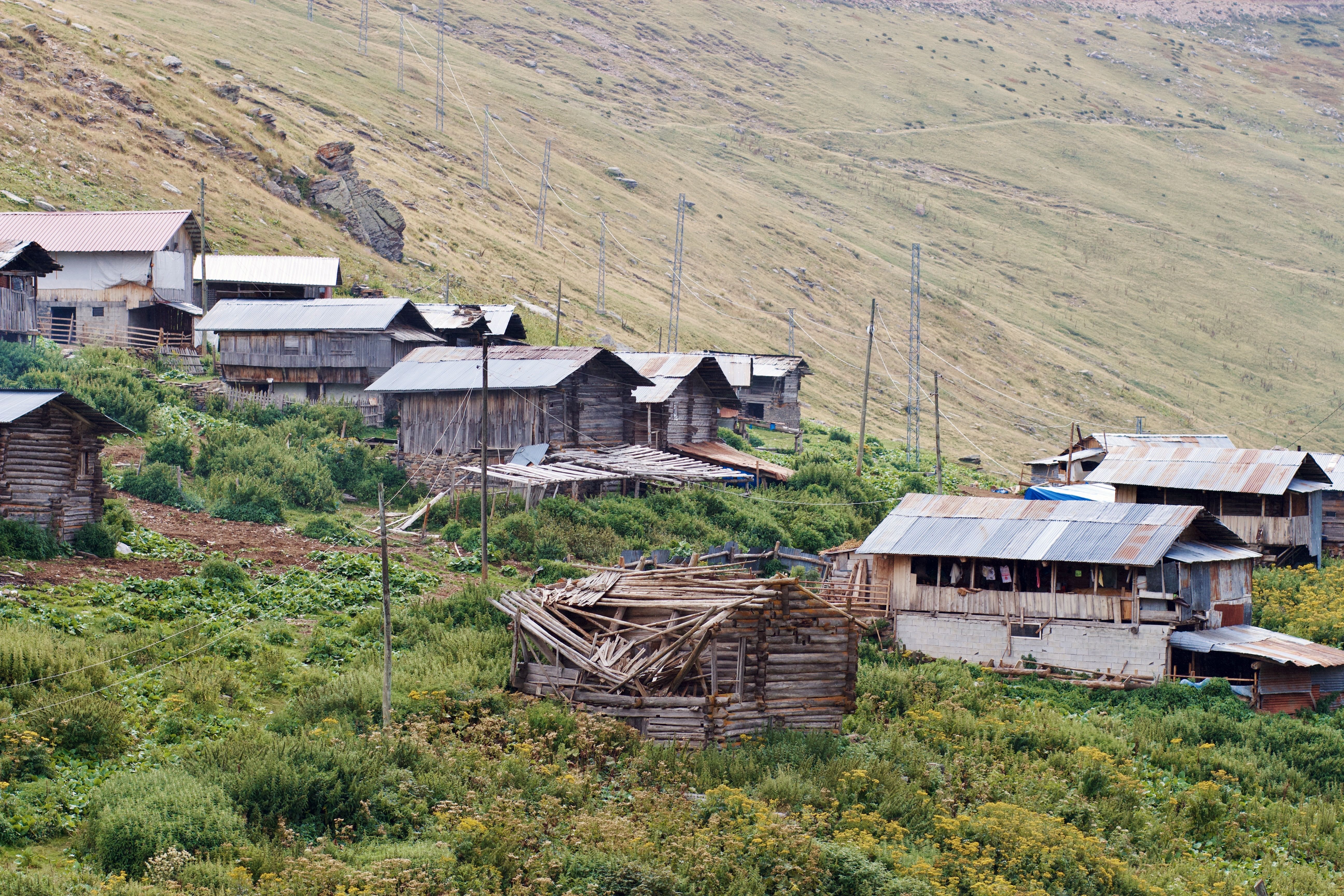 Rustic Wooden Mountain Village Huts · Free Stock Photo