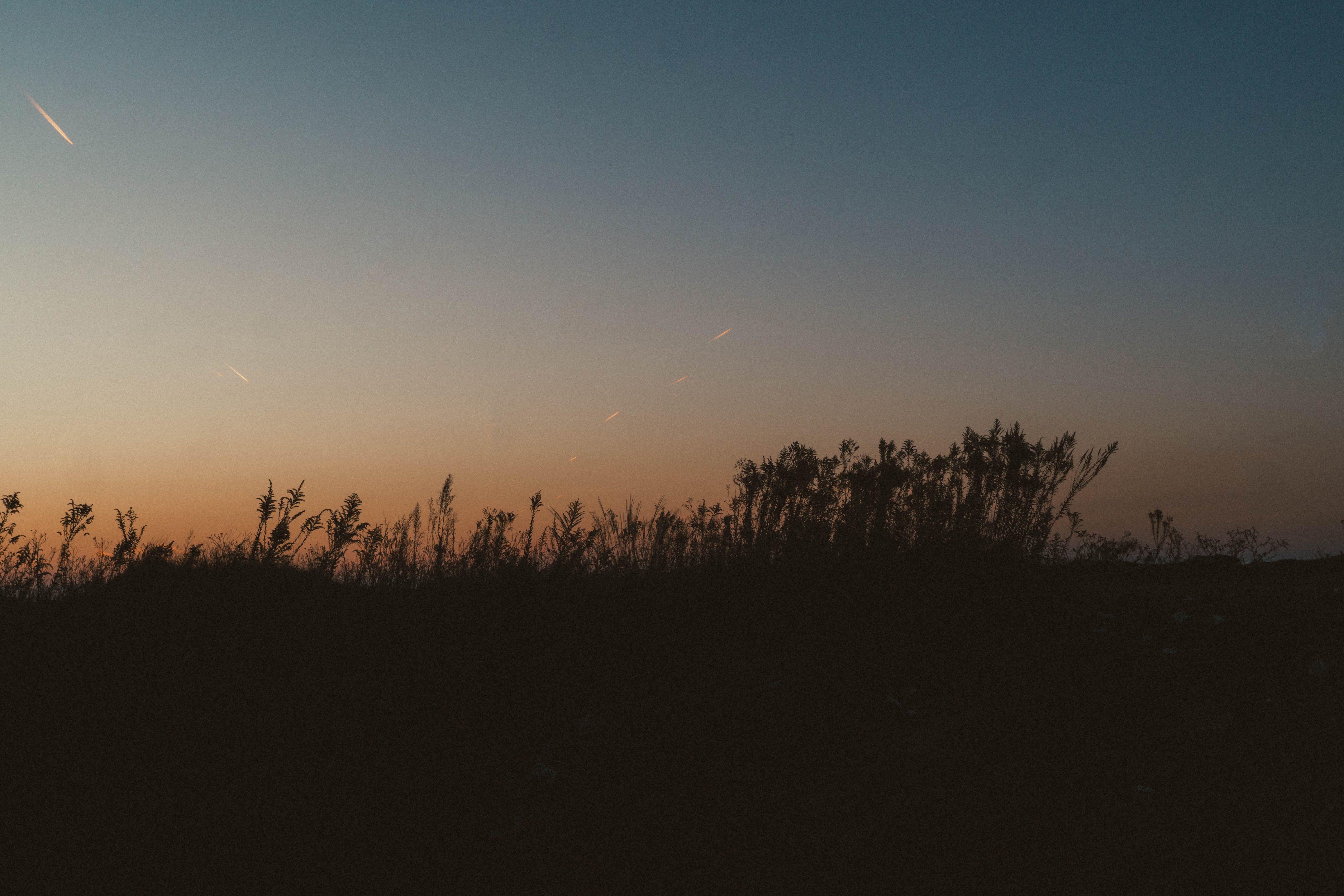 Tranquil Twilight Over Grass Field in Georgia · Free Stock Photo