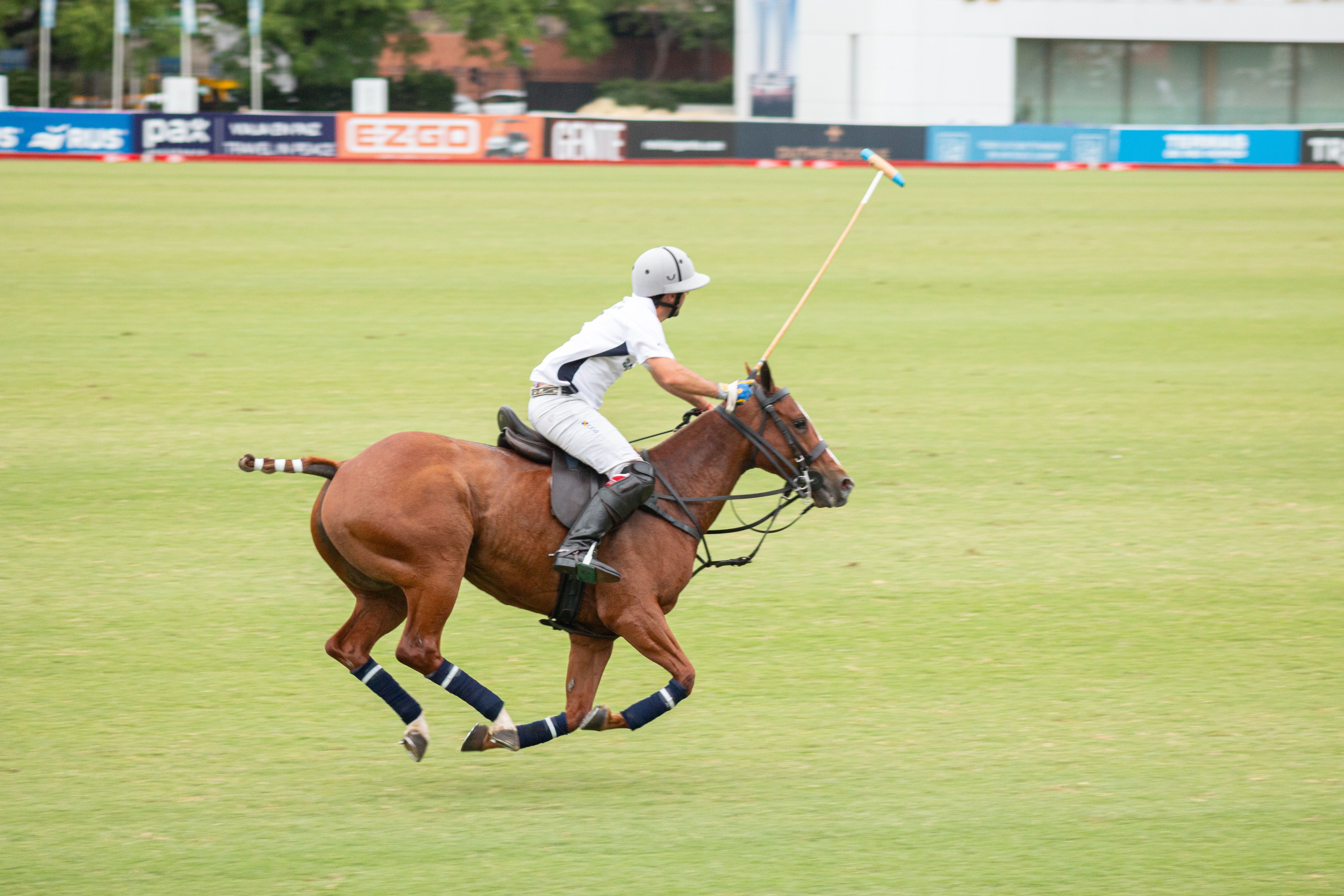 Polo Player in Action on Field in Buenos Aires · Free Stock Photo