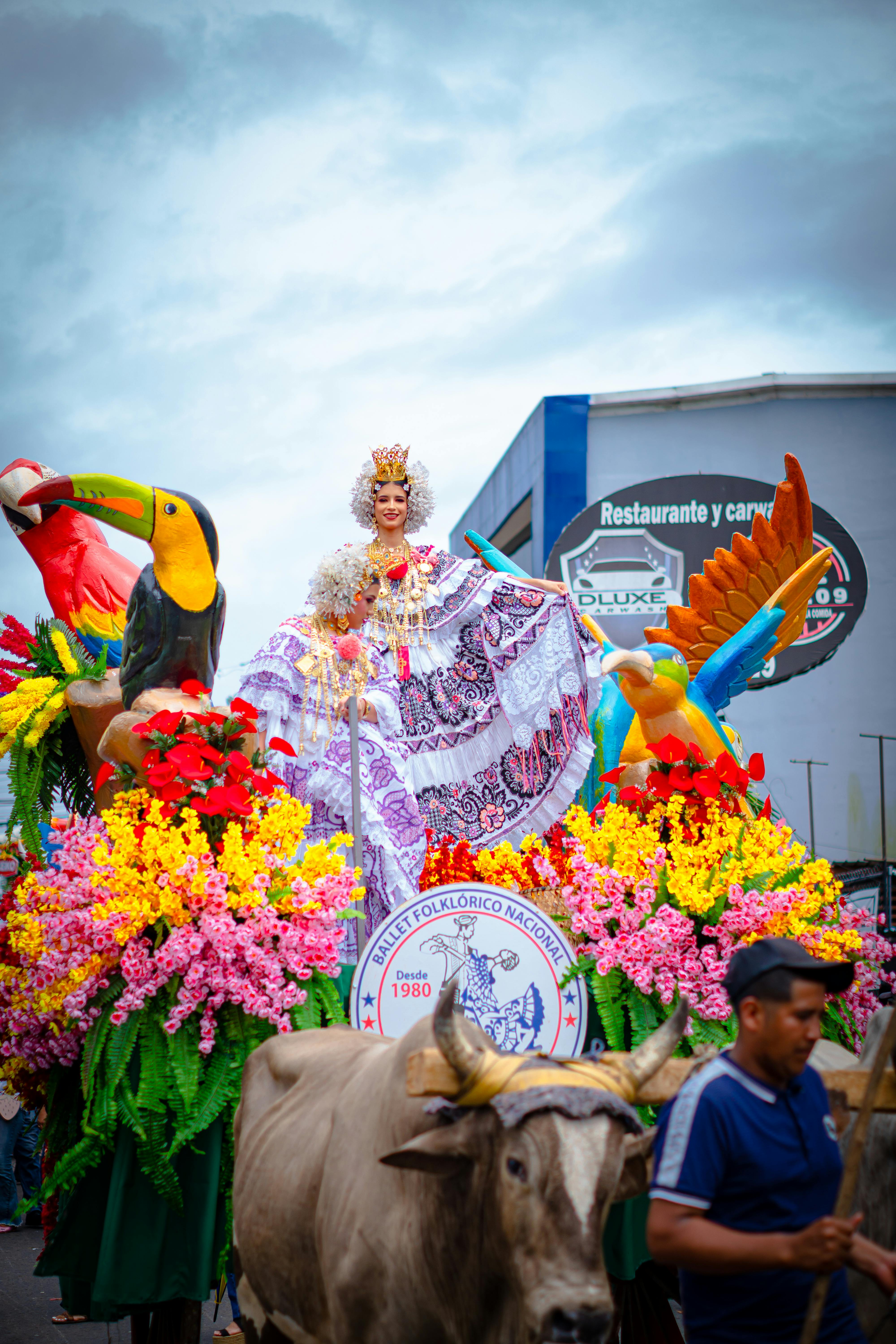 Vibrant Cultural Parade with Traditional Folklore Costume · Free Stock ...
