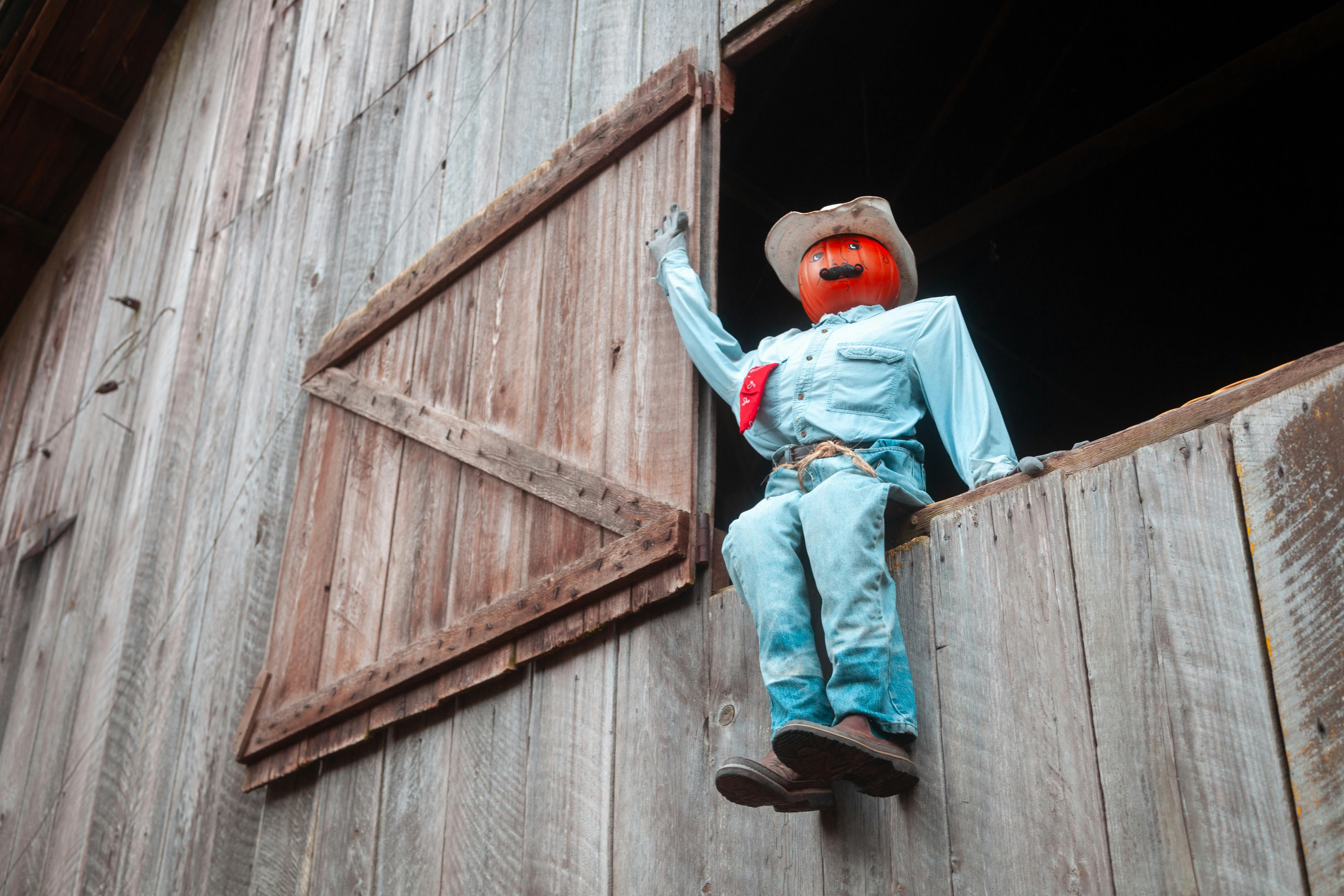 Rustic Barn Scarecrow with Pumpkin Head · Free Stock Photo