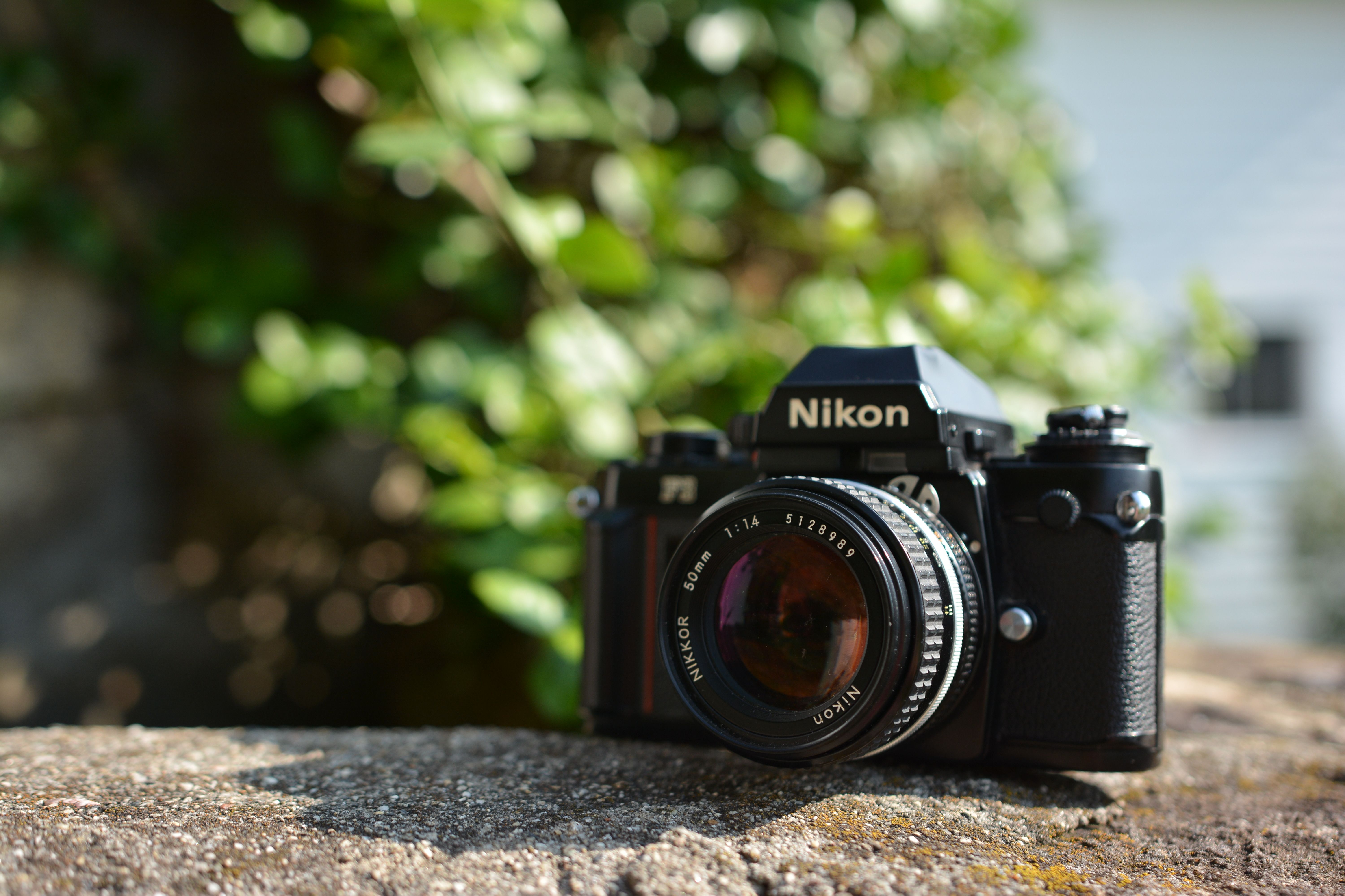 Vintage Nikon Film Camera in Natural Setting · Free Stock Photo