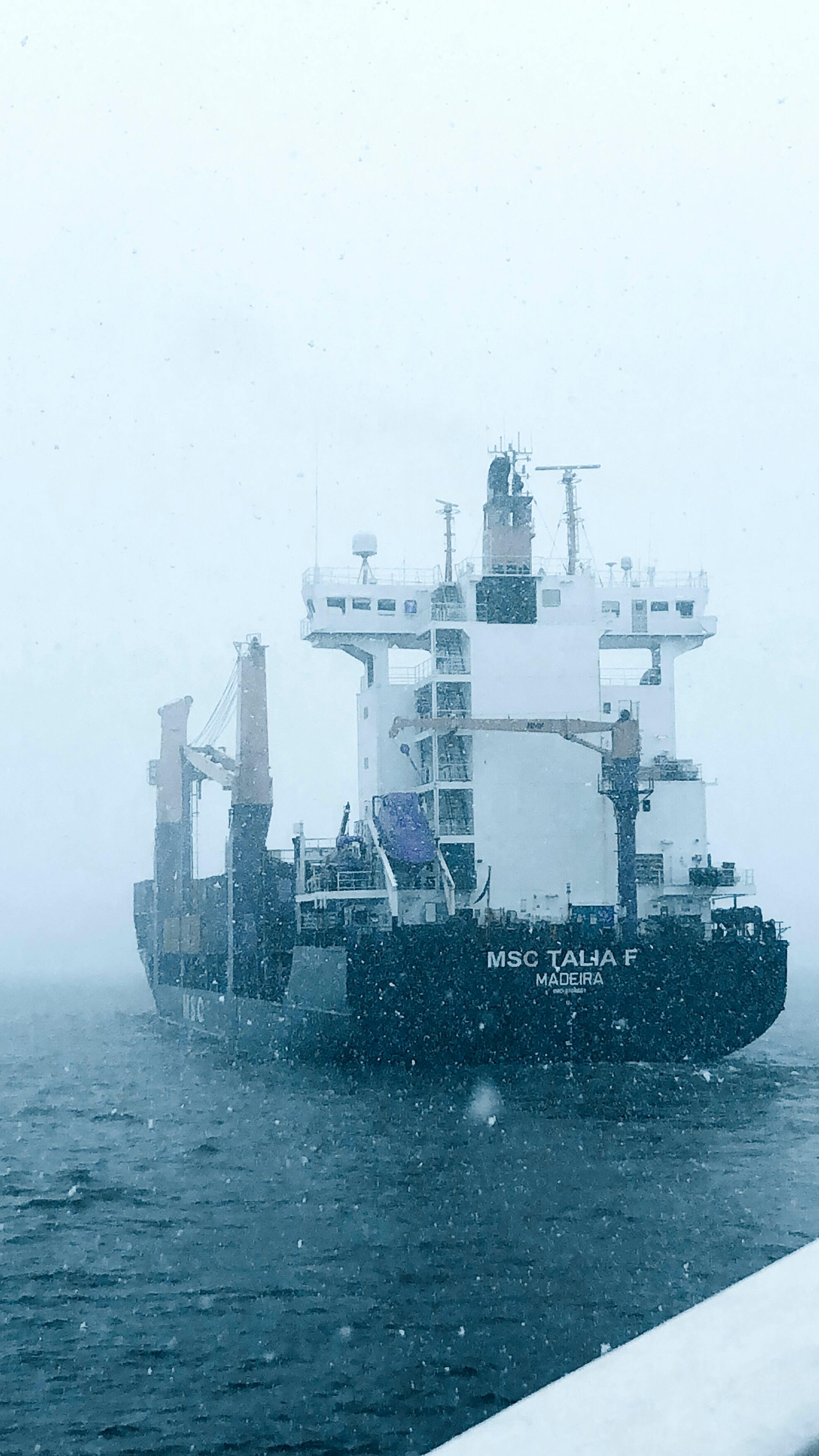 Cargo Ship in Snowy Ocean Waters · Free Stock Photo