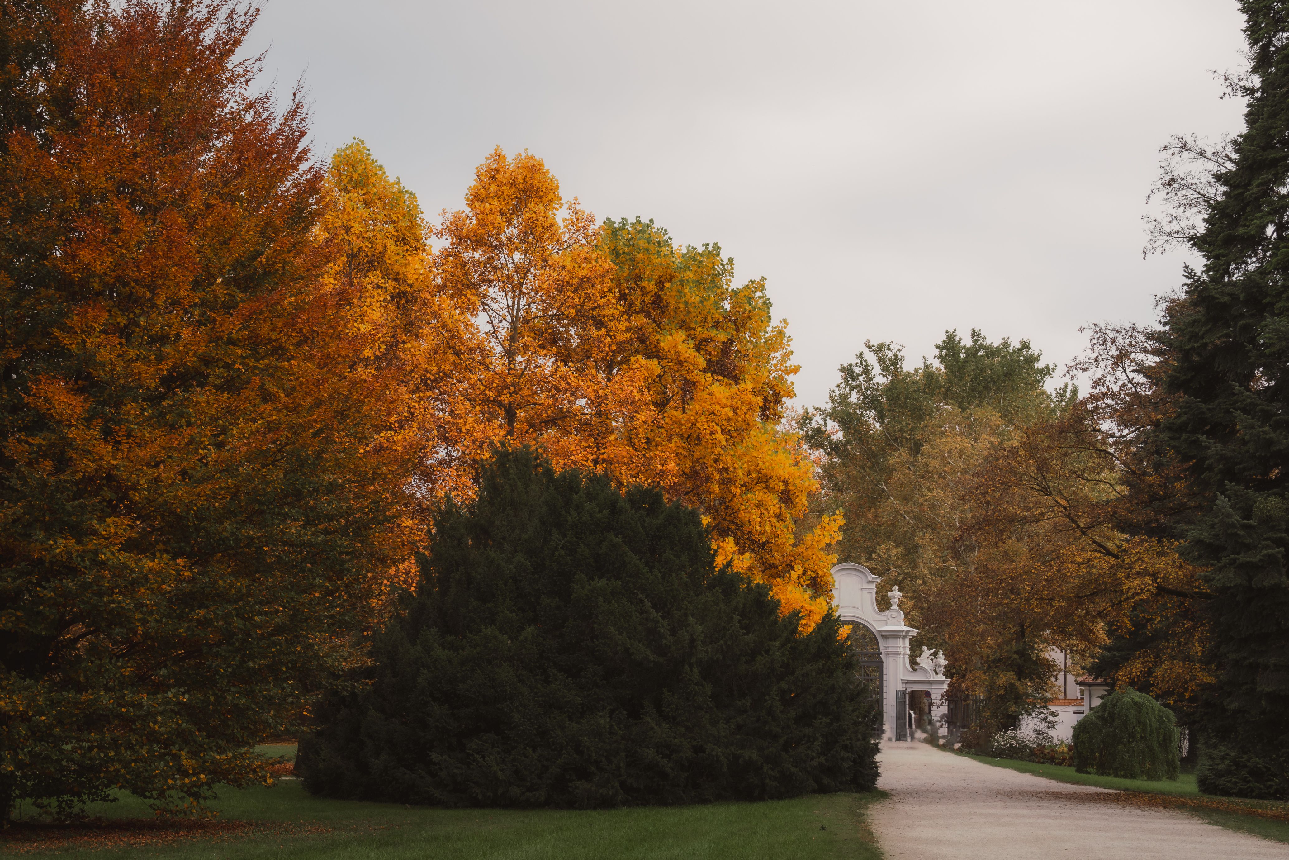 Enchanting Autumn Pathway in Scenic Park · Free Stock Photo