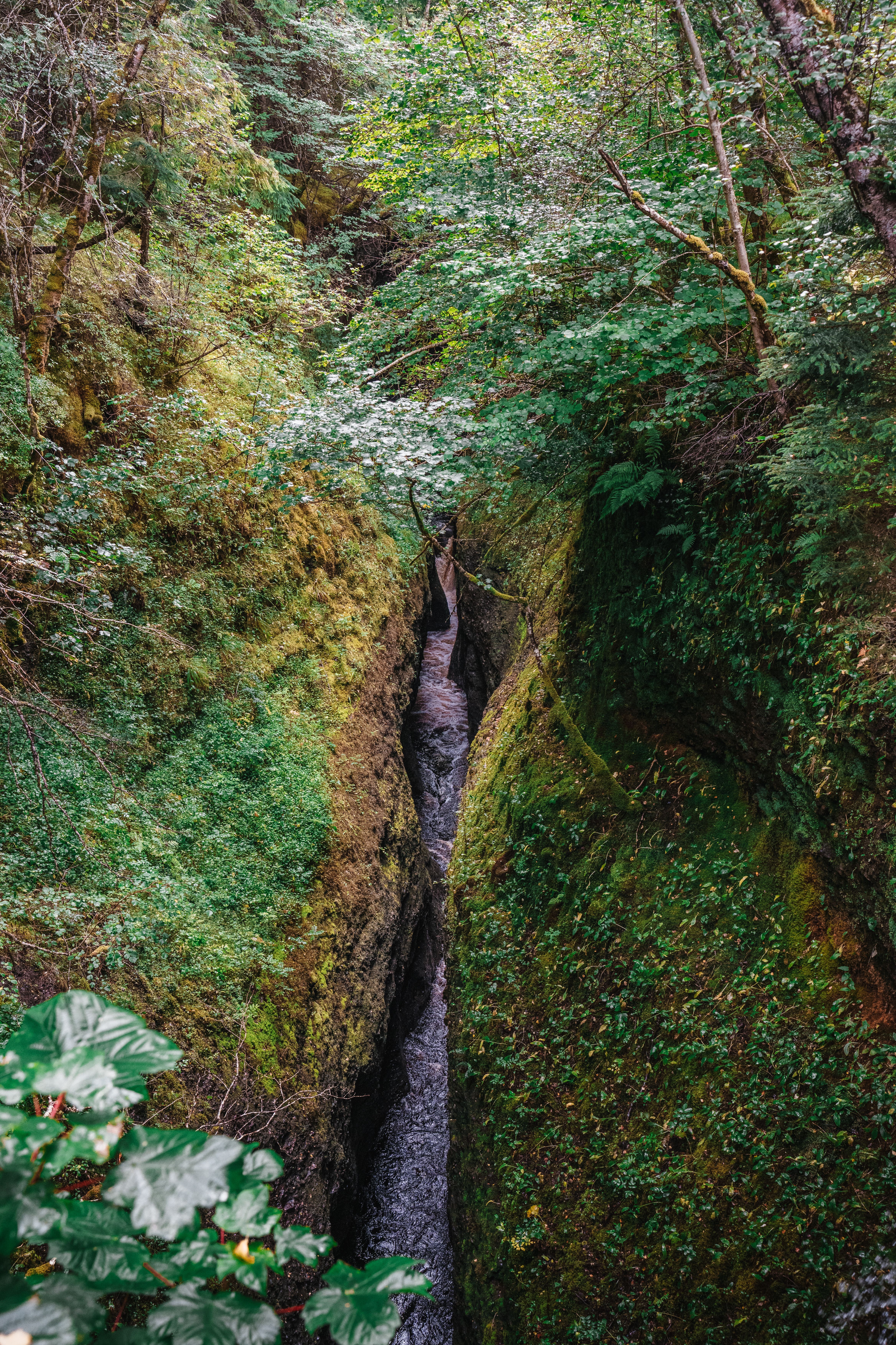 Scenic Gorge in Lush Scottish Landscape · Free Stock Photo