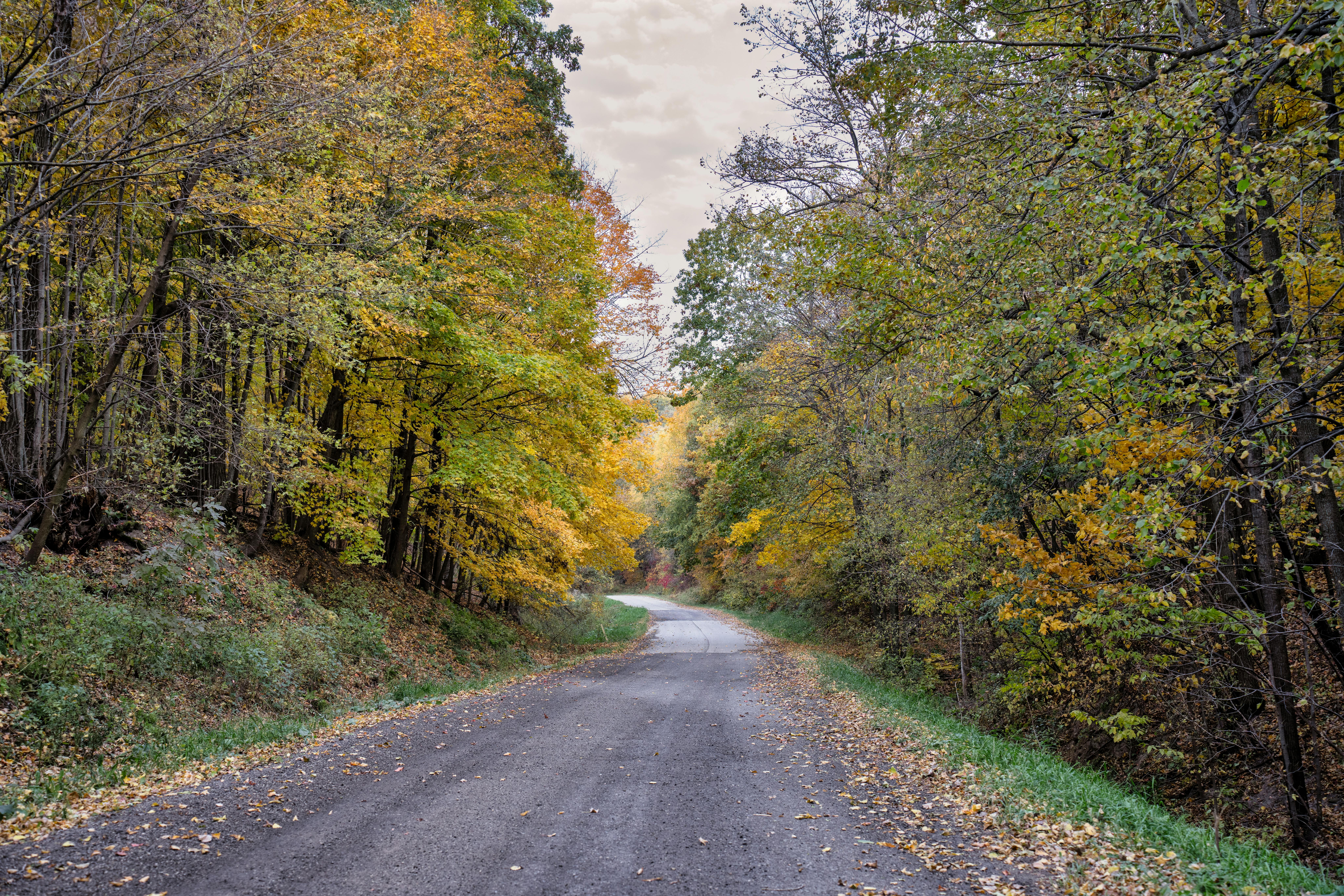 Scenic Autumn Road in Nelson, Wisconsin · Free Stock Photo