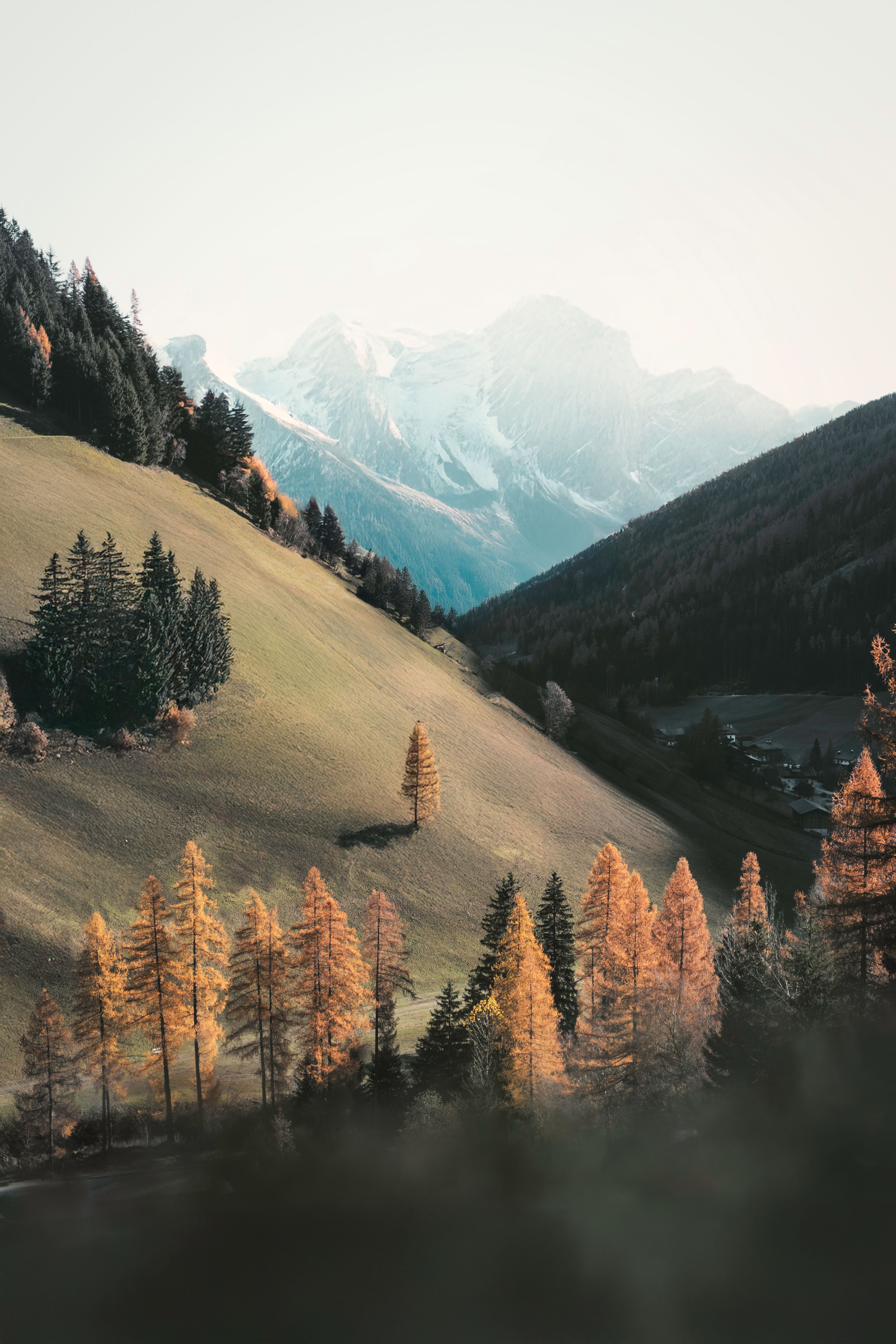 Scenic Alpine Landscape with Snowy Mountains · Free Stock Photo