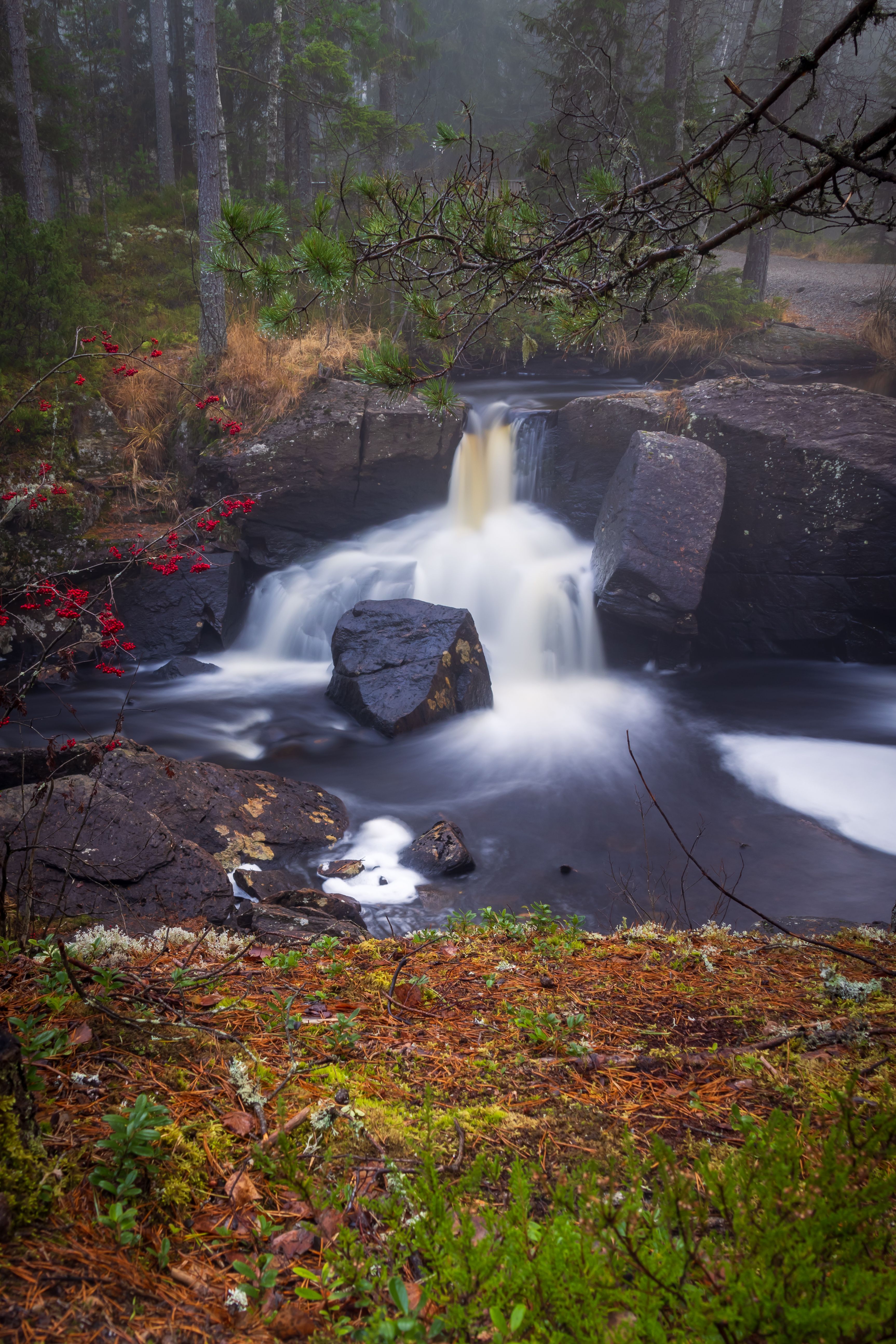 Misty Forest Waterfall in Autumn Setting · Free Stock Photo