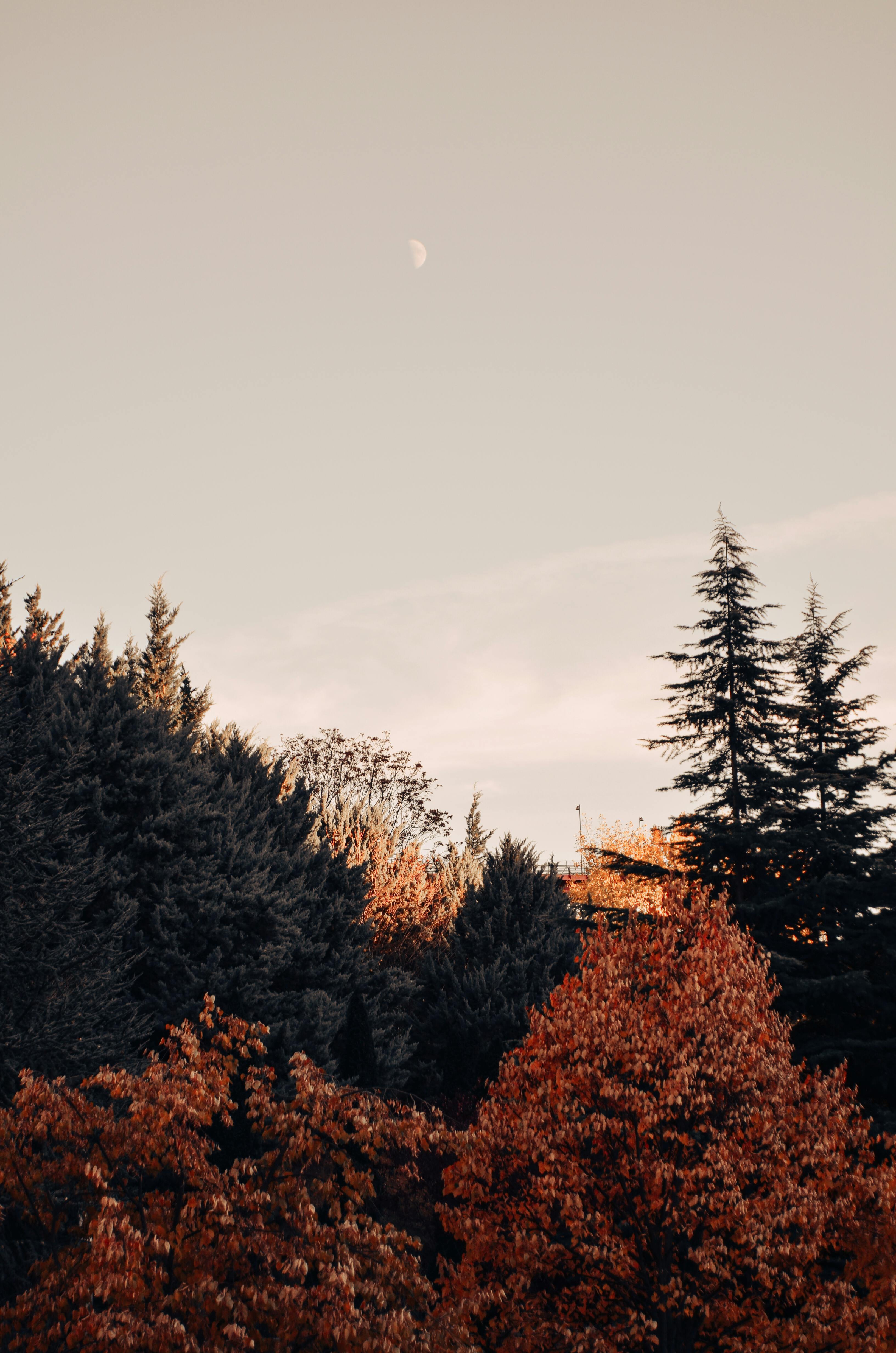 Landscape At Noon Photos, Download The BEST Free Landscape At Noon ...