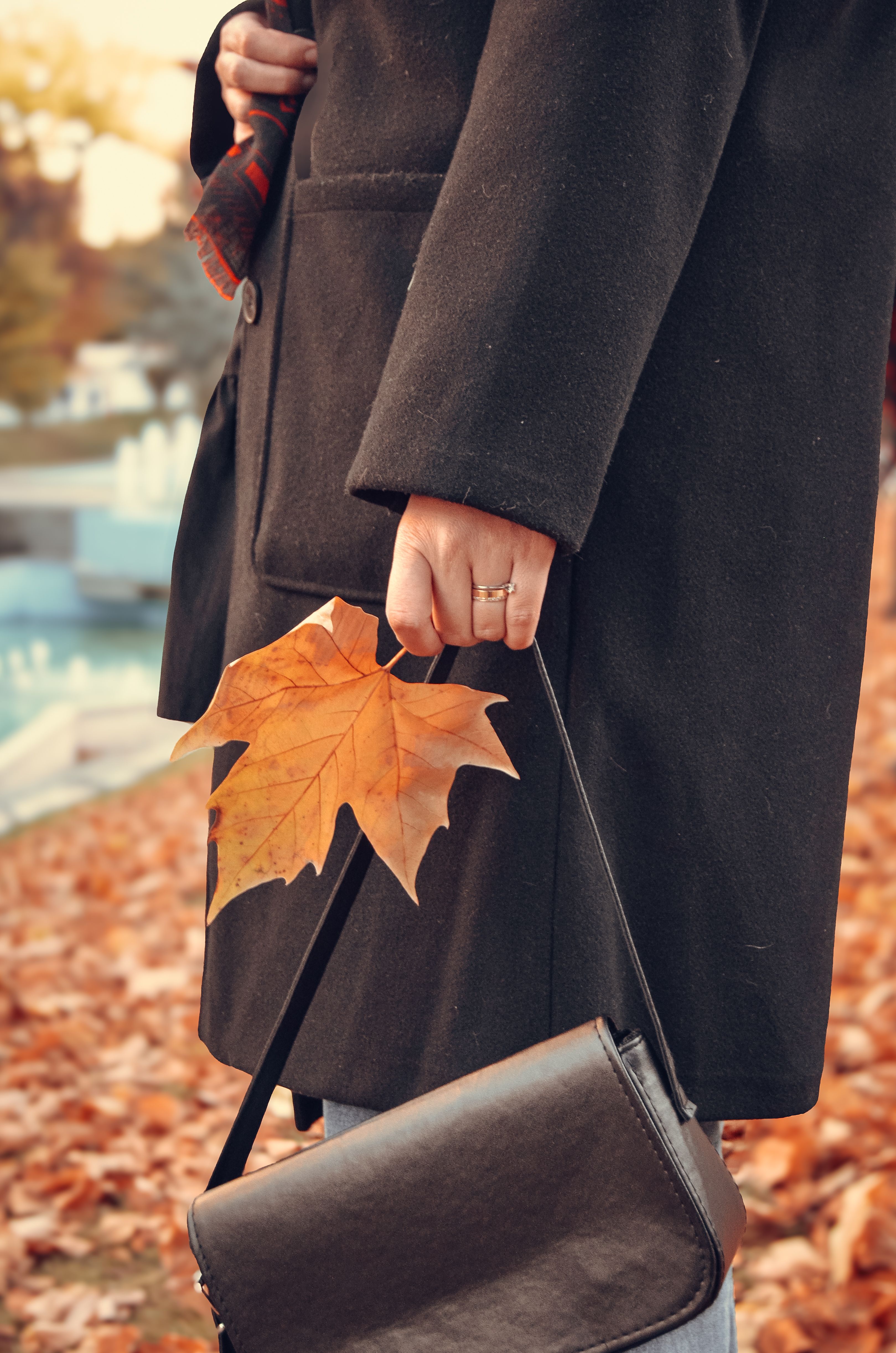 Patch Of Leaves Photos, Download The BEST Free Patch Of Leaves Stock ...