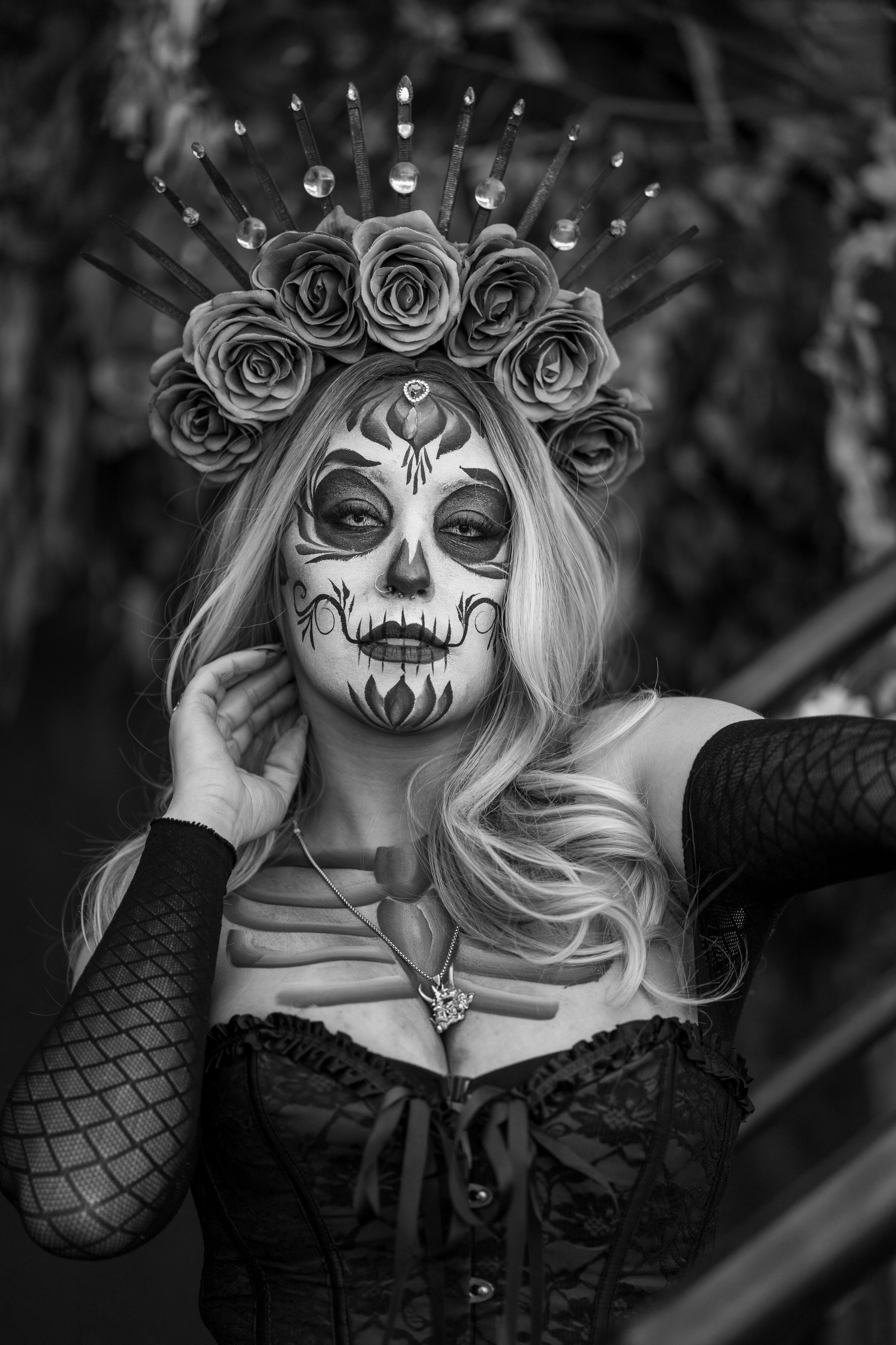 Nave Portrait Photos, Download The BEST Free Nave Portrait Stock Photos ...