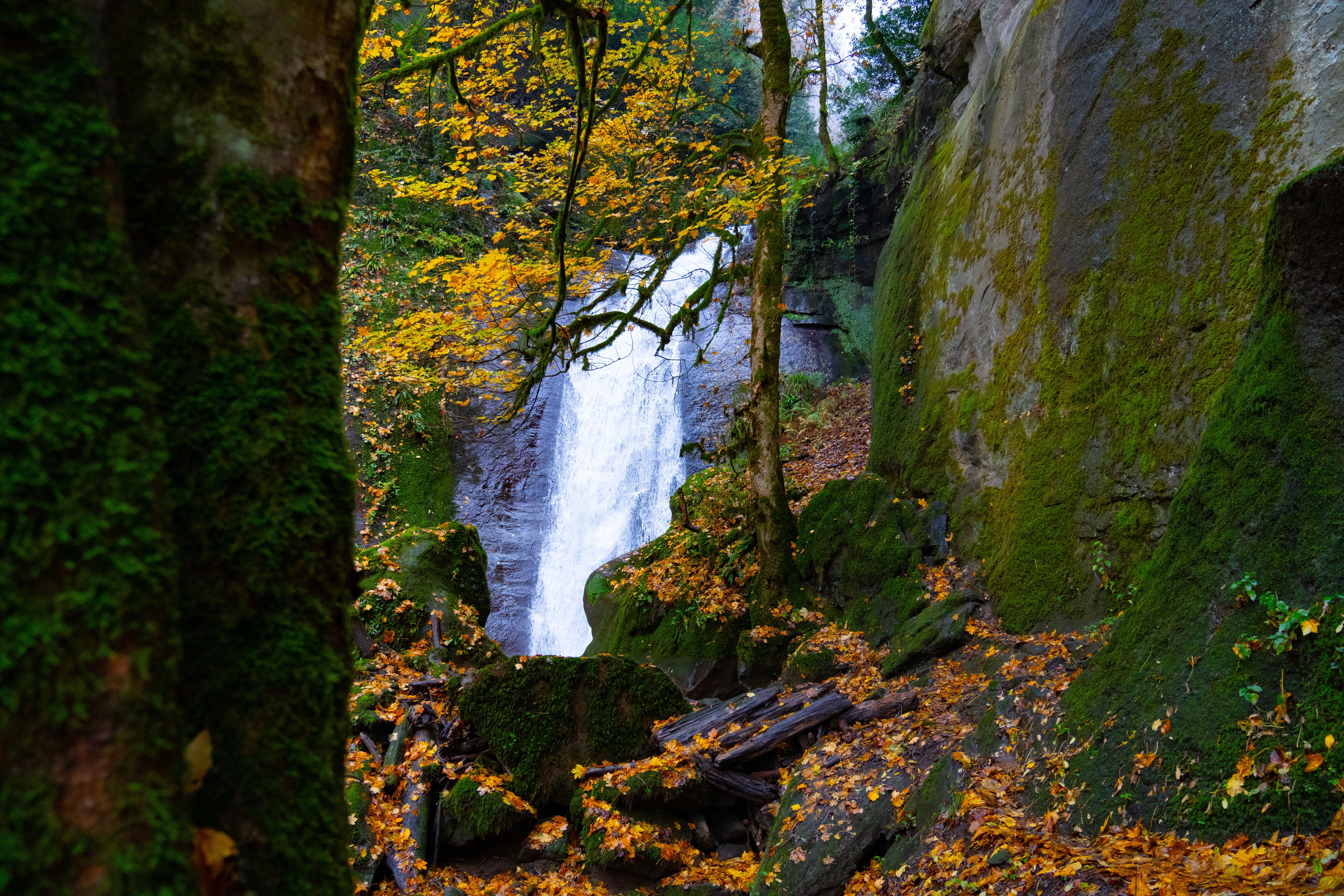 Stunning Autumn Waterfall in Forest Setting · Free Stock Photo