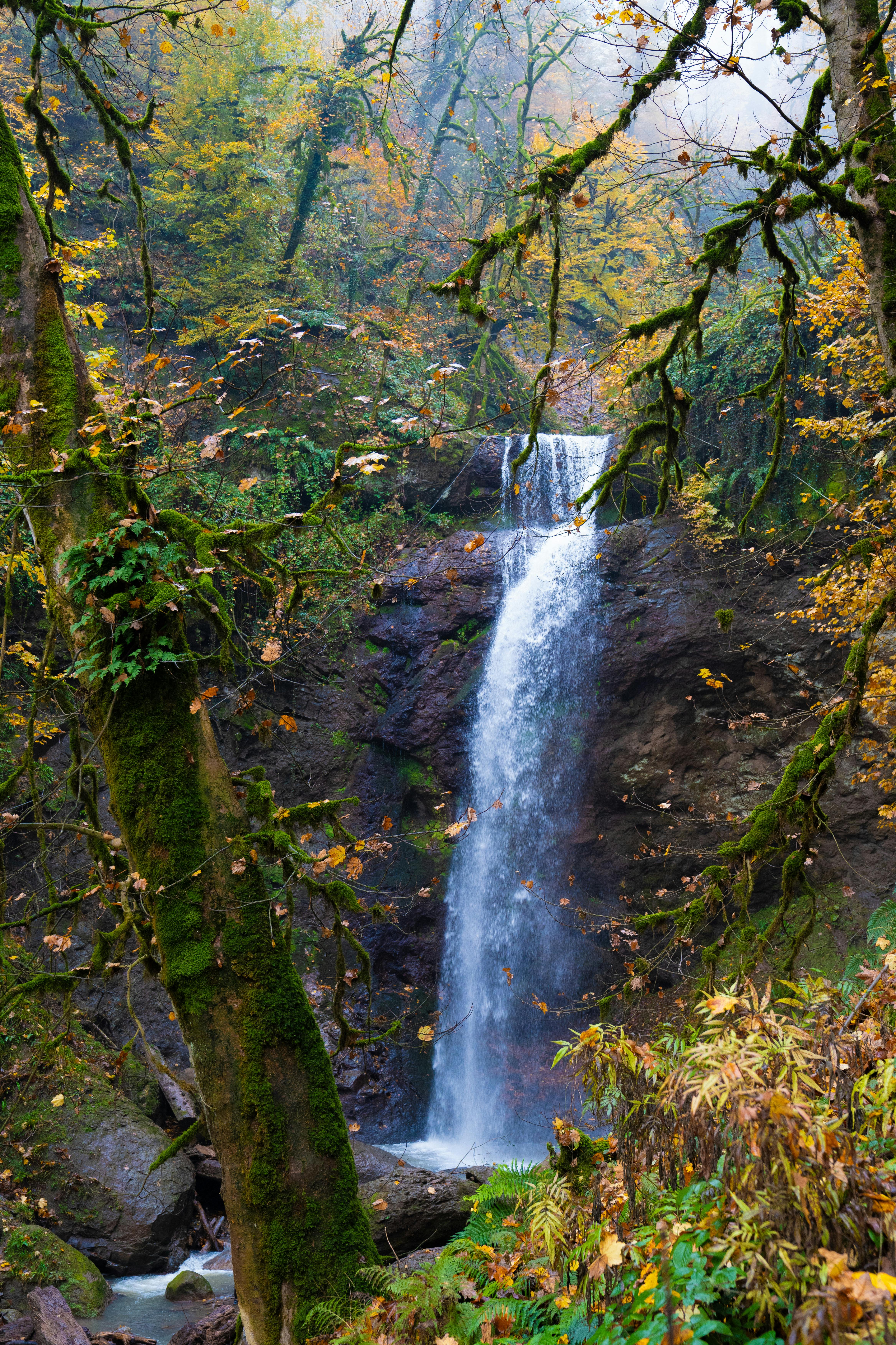 Majestic Autumn Waterfall in a Lush Forest · Free Stock Photo