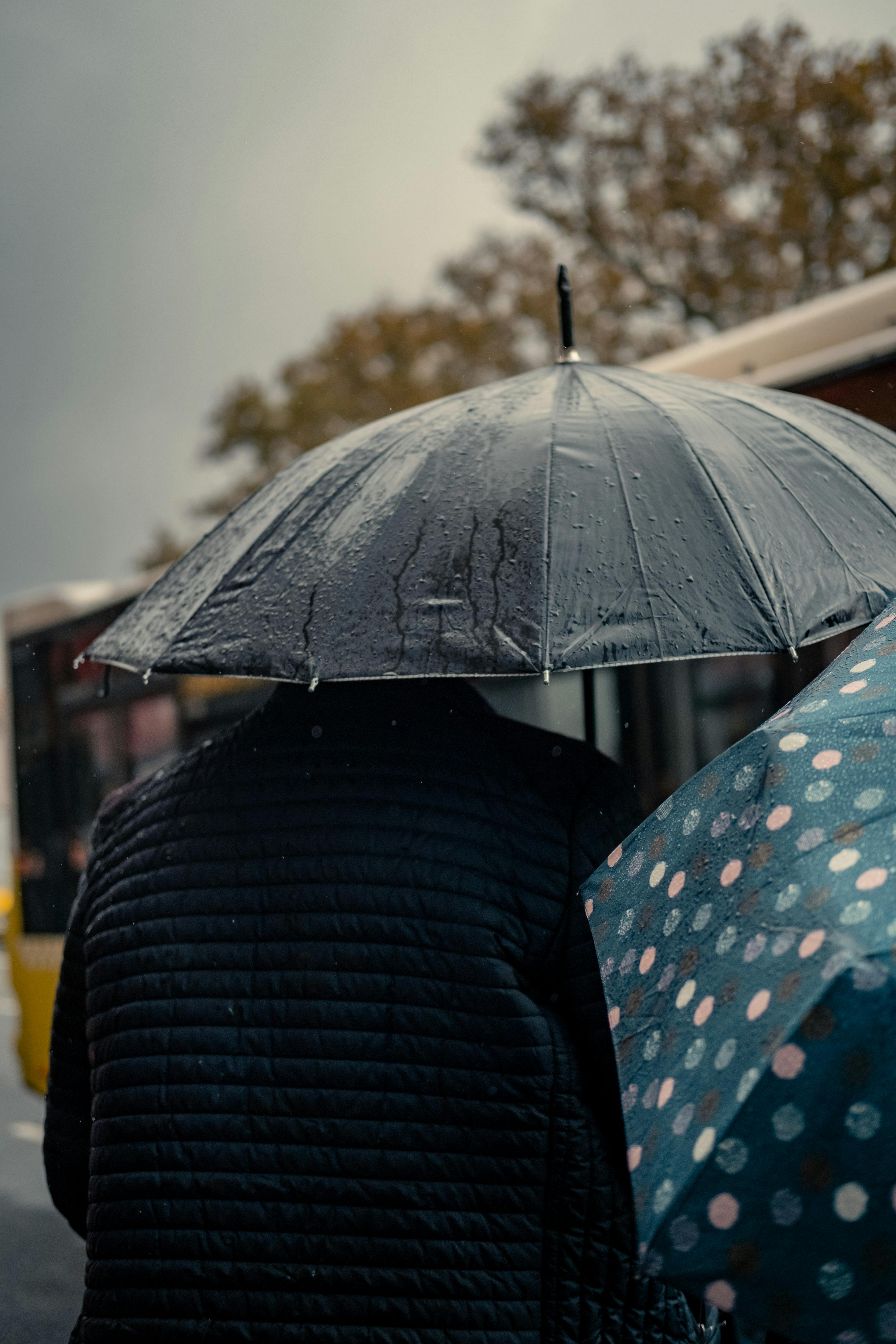 Rainy Day with Umbrellas on the Street · Free Stock Photo