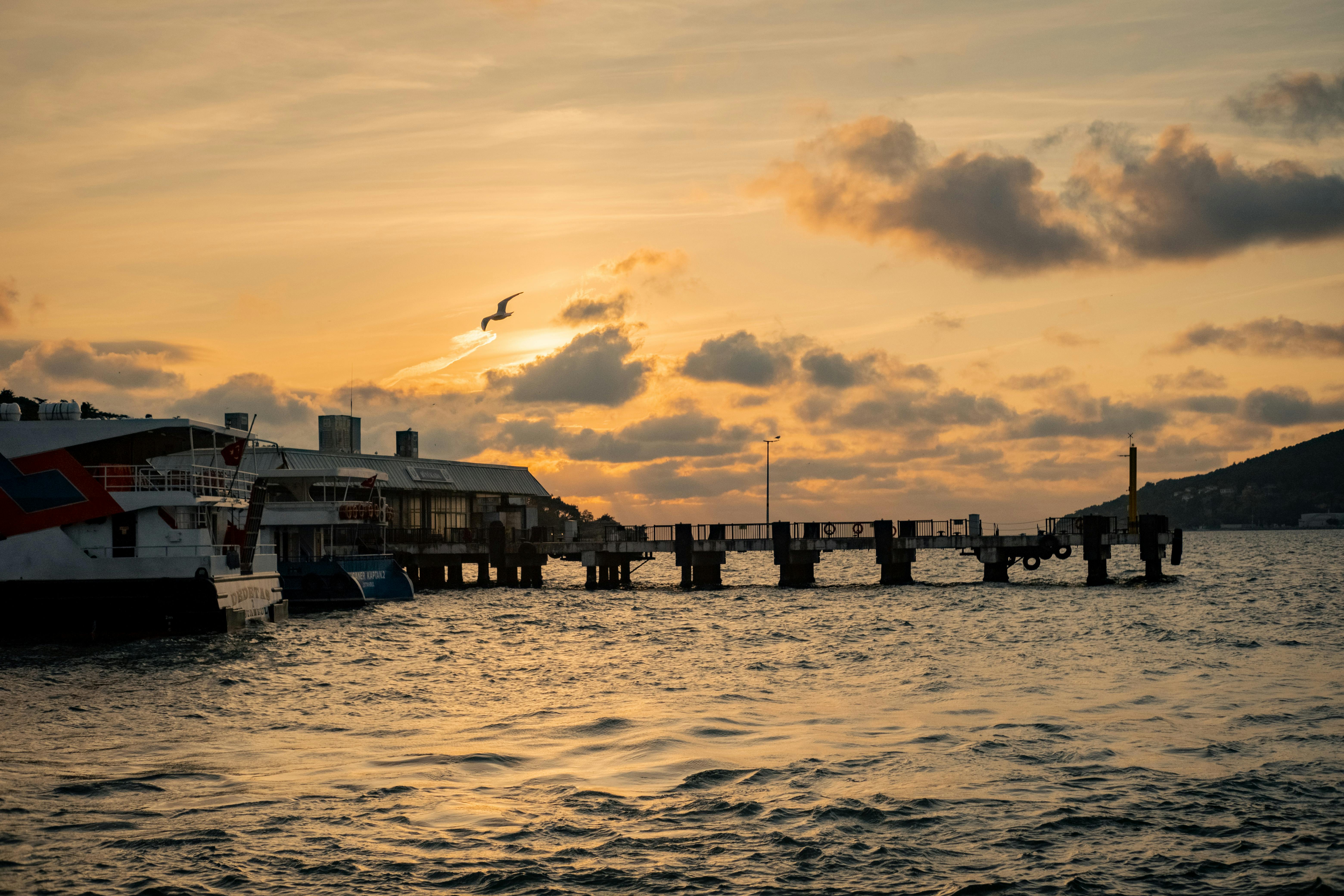 Serene Sunset at a Picturesque Harbor · Free Stock Photo